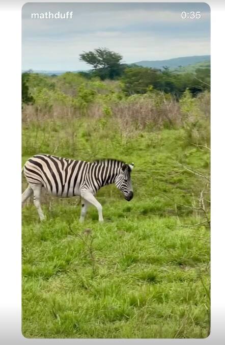 Voyage d’une vie: Math Duff jubile en safari en Afrique du Sud | JDM