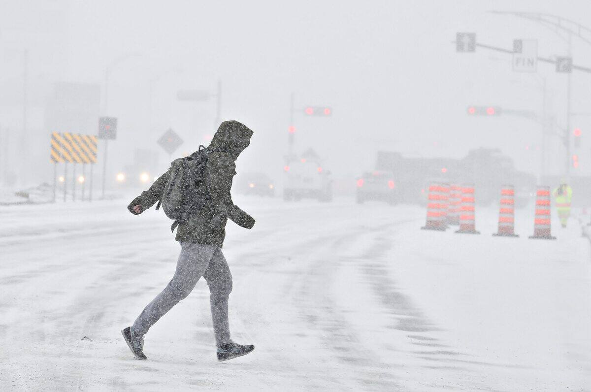 Tempête de verglas: l’Est-du-Québec s’en tire à bon compte | JDM