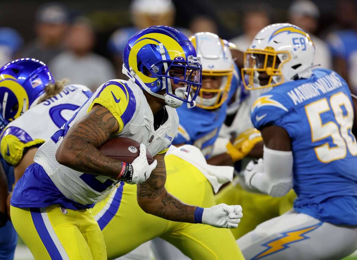 Alouettes: un nouveau porteur de ballon dans le nid | JDM