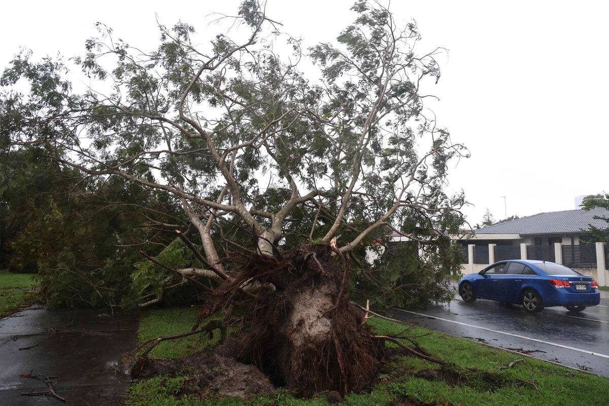 EN IMAGES | Le cyclone «Alfred» rétrogradé en dépression tropicale en s ...