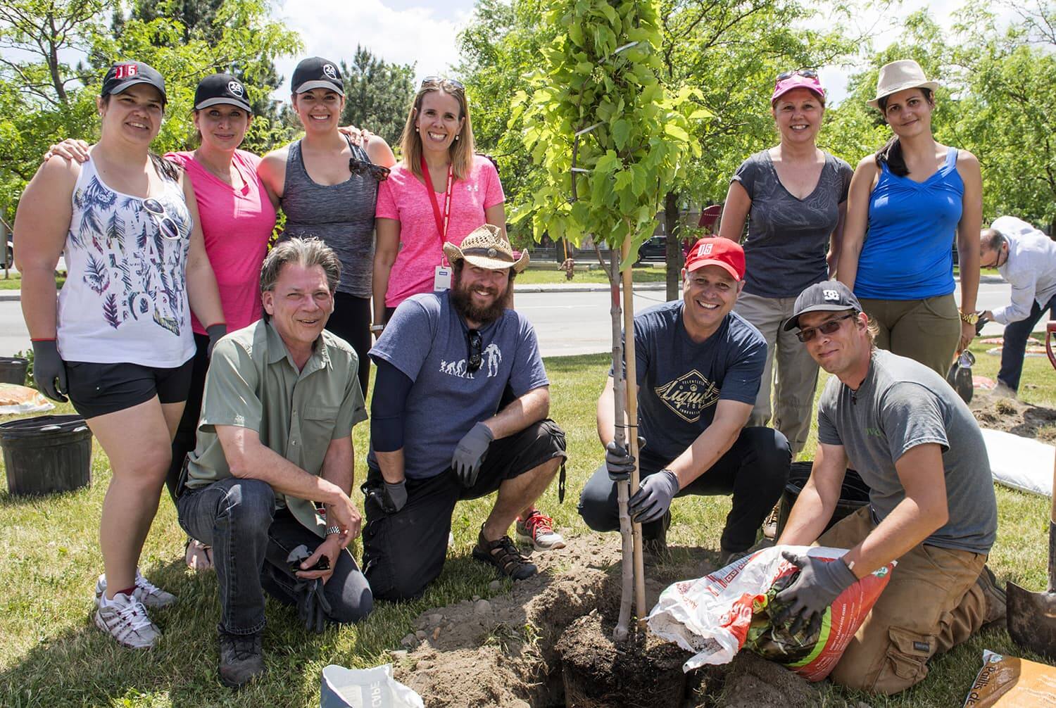 Le Journal de Montréal plante 100 nouveaux arbres | JDM