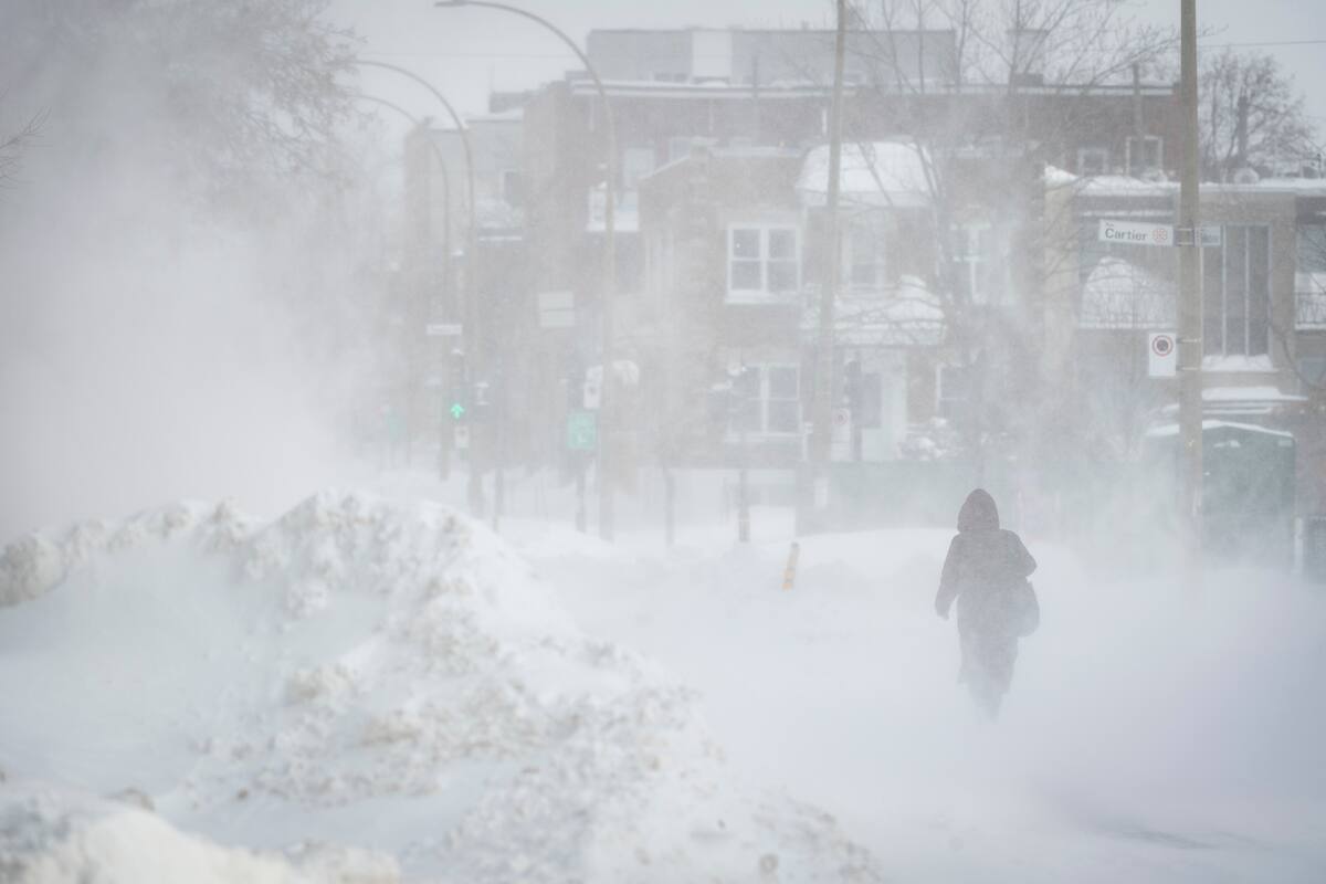 Un mois de février «historique»: la dernière fois qu'il a autant neigé ...