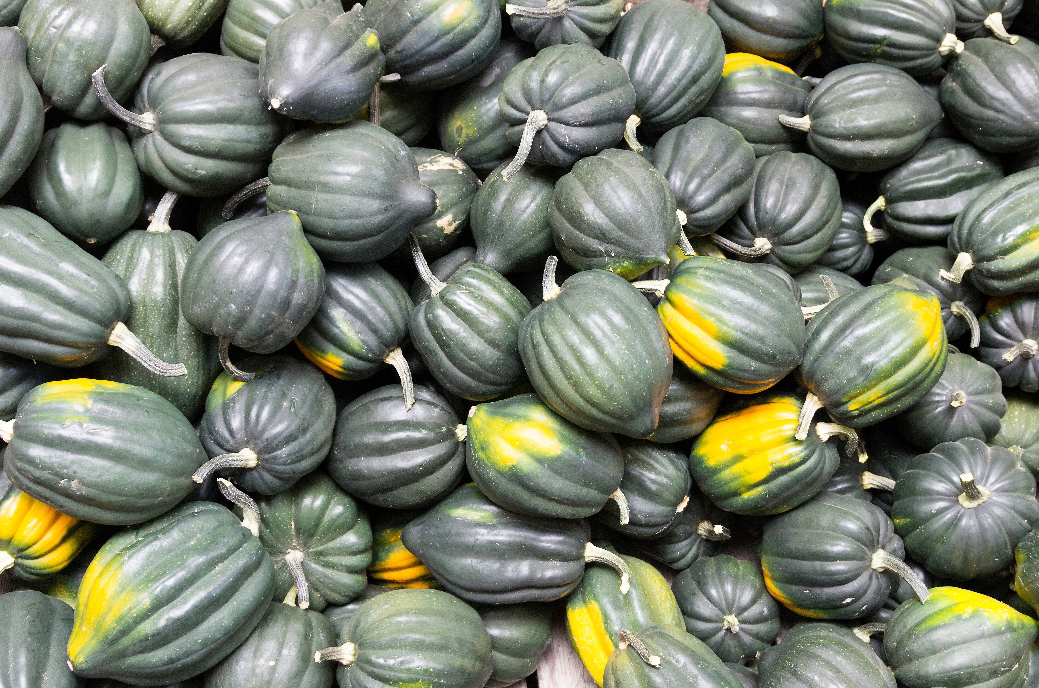 Voici quoi faire en cuisine avec ces 7 variétés de courge | JDM