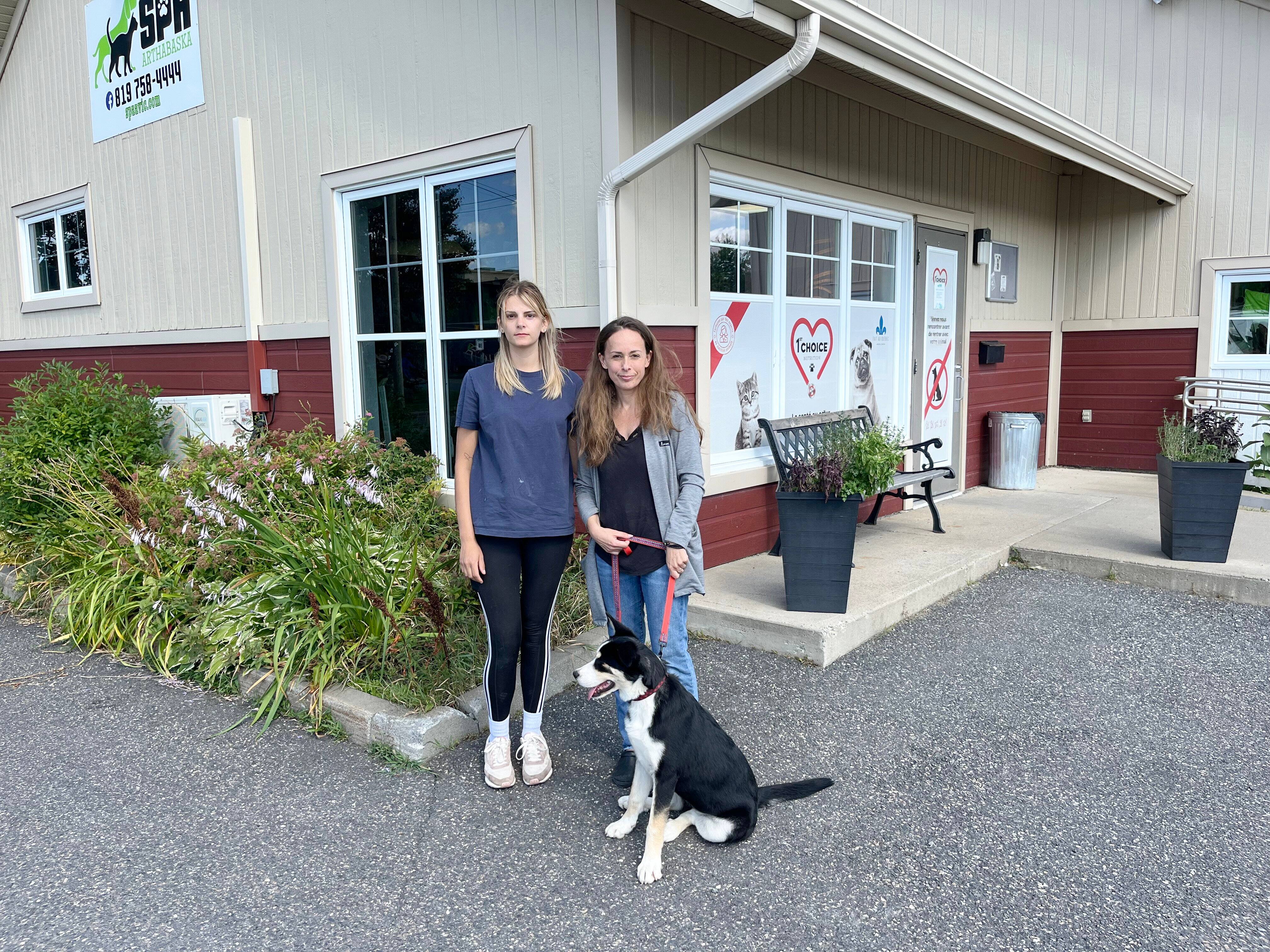 Refuge pour animaux saturé: de petites bêtes ont besoin de votre aide | JDM