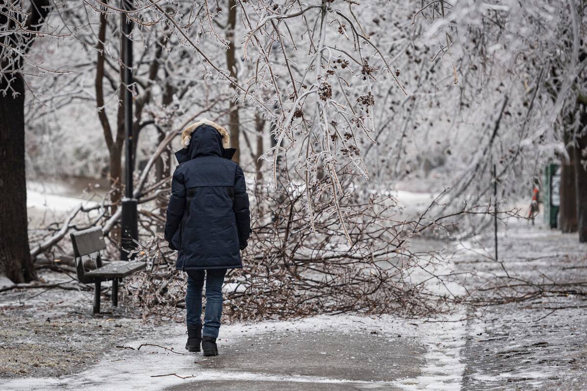 Voici comment Hydro-Québec, Montréal, le REM et la STM se préparent au ...