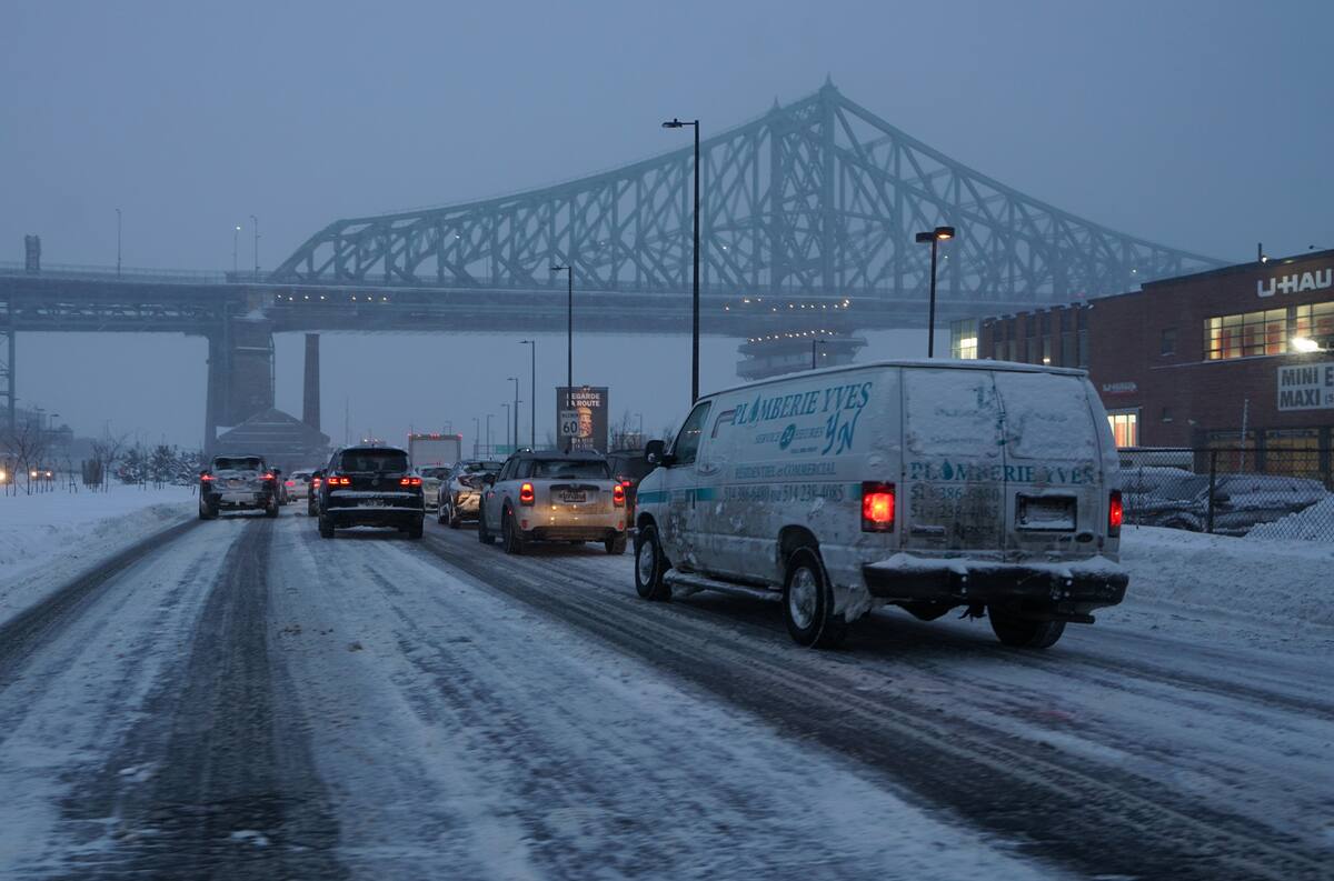 Tempête hivernale: Montréal l’a échappé belle | TVA Nouvelles