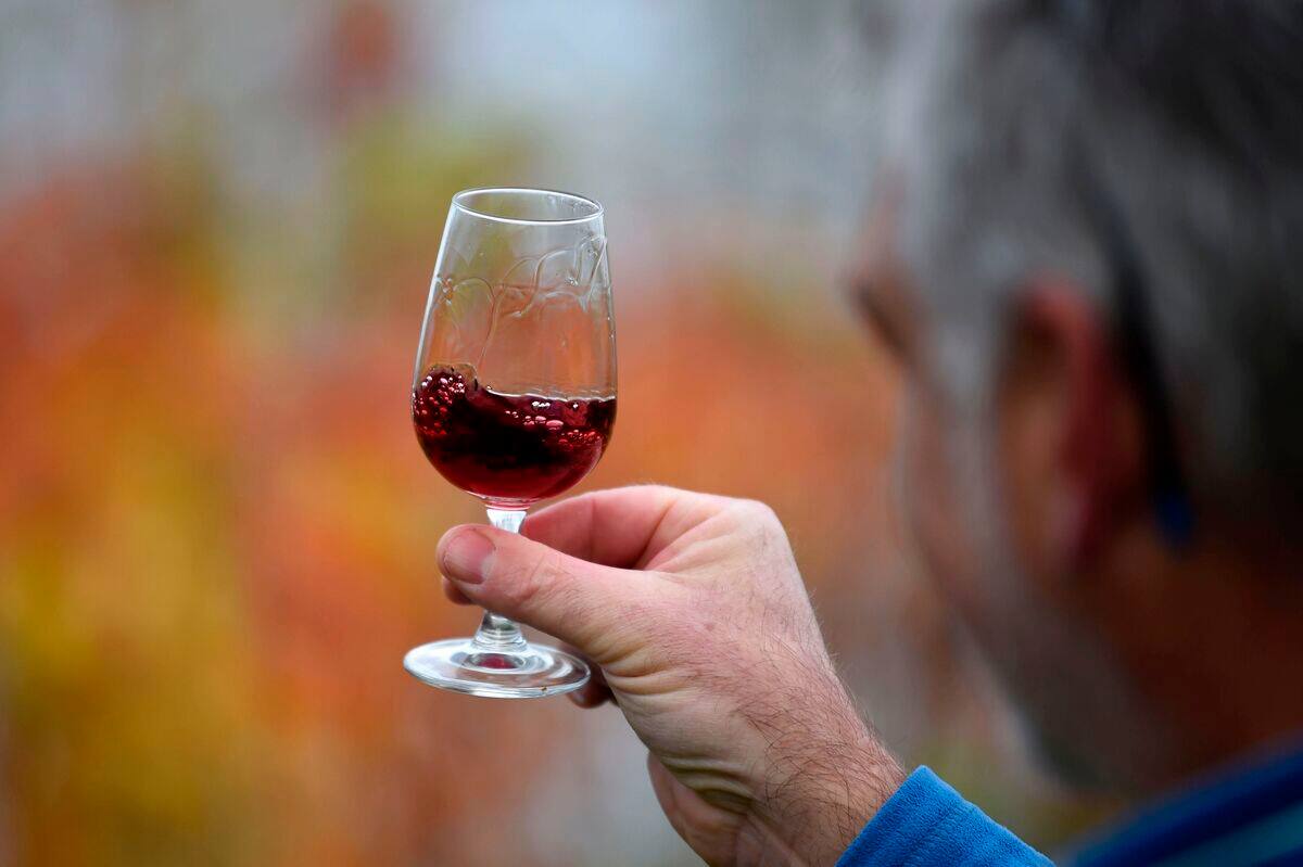 Cinq vins rouges «de soif» pour recevoir à petit prix | JDM