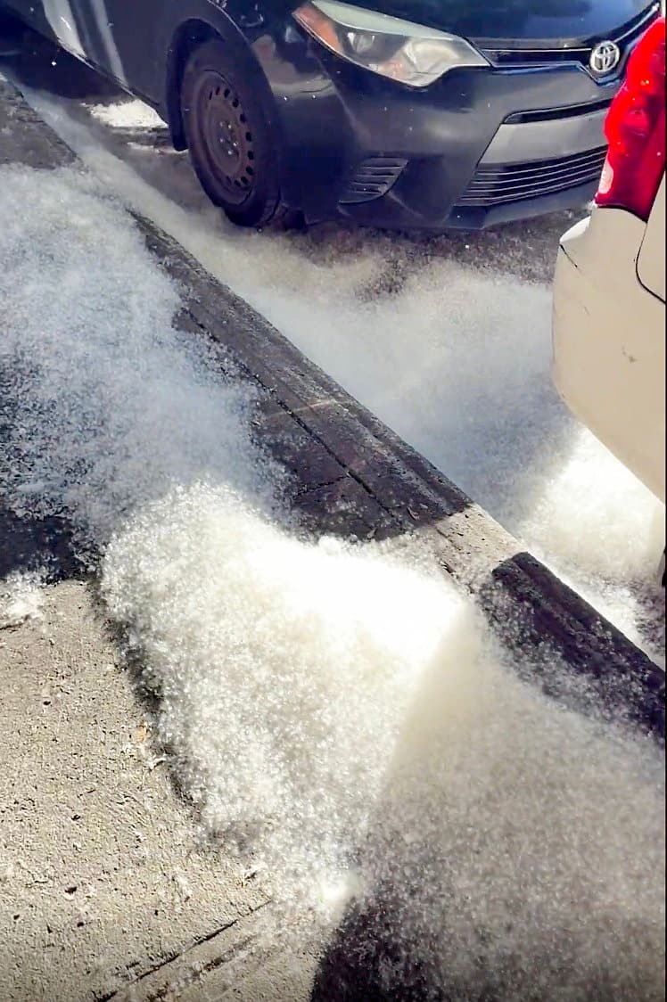 La saison du pollen est plus intense... mais n'a aucun rapport avec ces ...