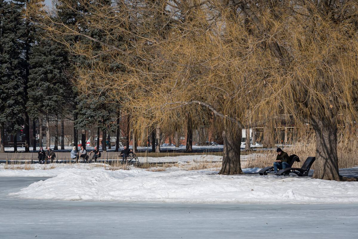 Des redoux en début de saison: propres au climat québécois | TVA Nouvelles
