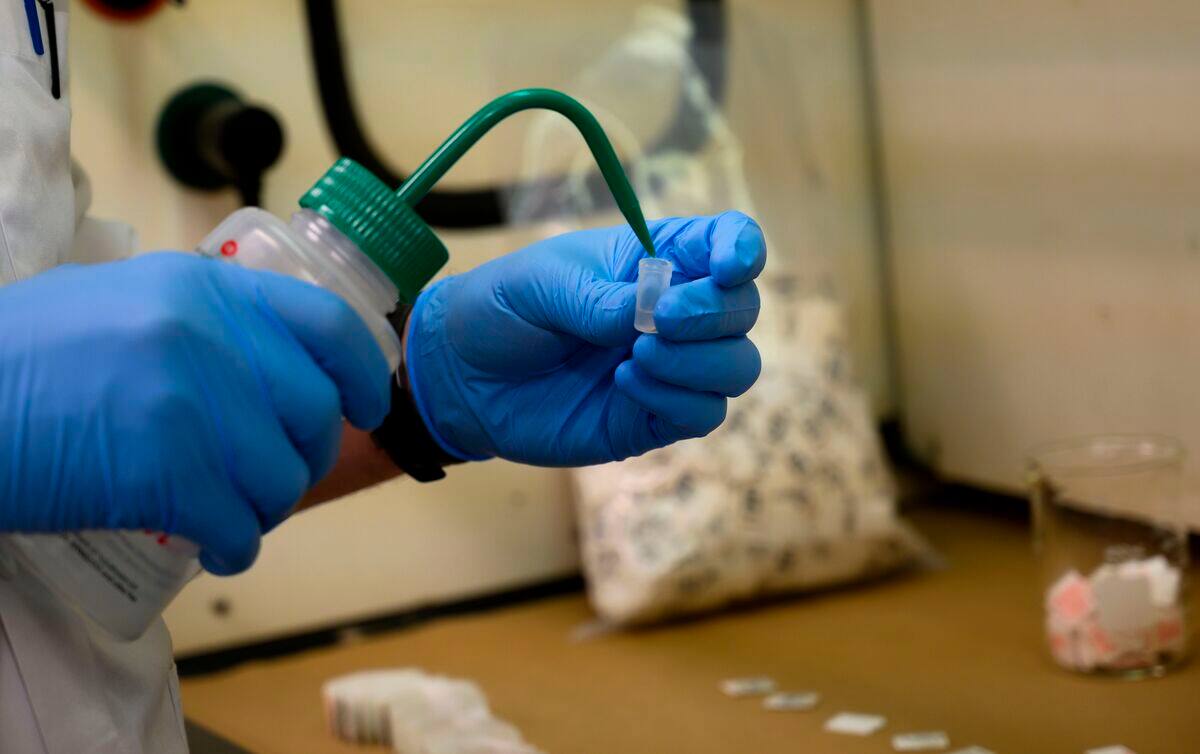 Deux des plus redoutables cartels de drogue trahis par les réseaux ...