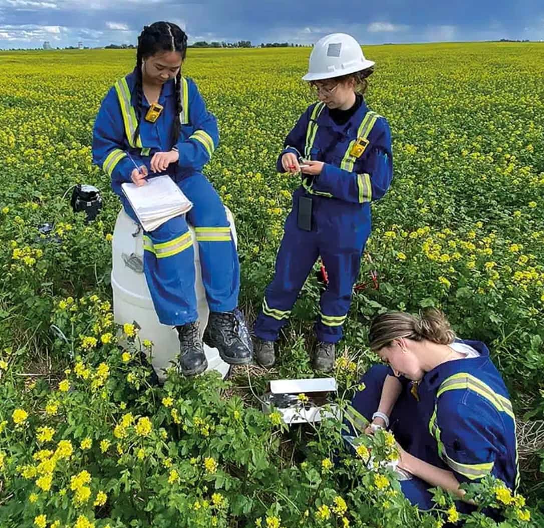 Une libellule de 75 millions d’années et des astéroïdes destructeurs ...