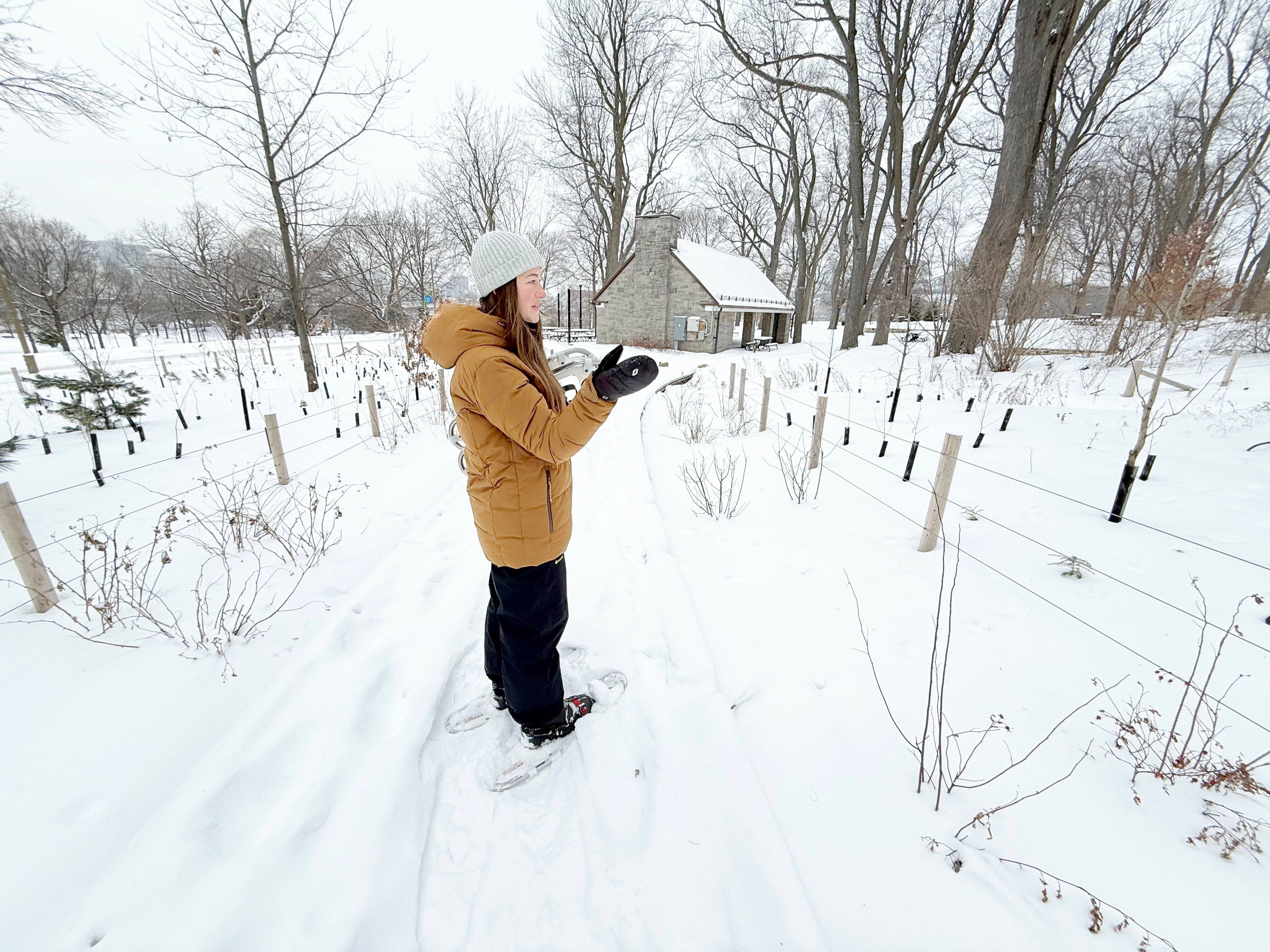 La petite montagne oubliée de Montréal avec une tour d'observation sur ...