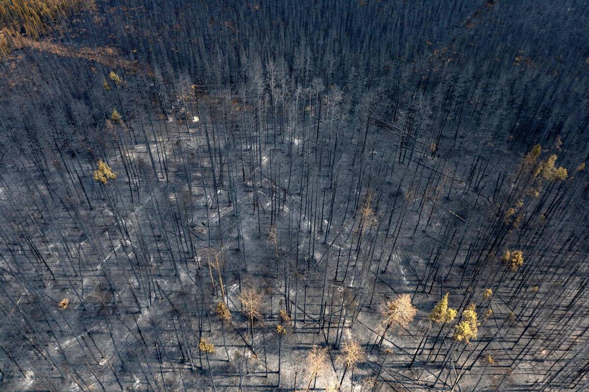Feux de forêts en Alberta : attention aux drones qui nuisent aux ...