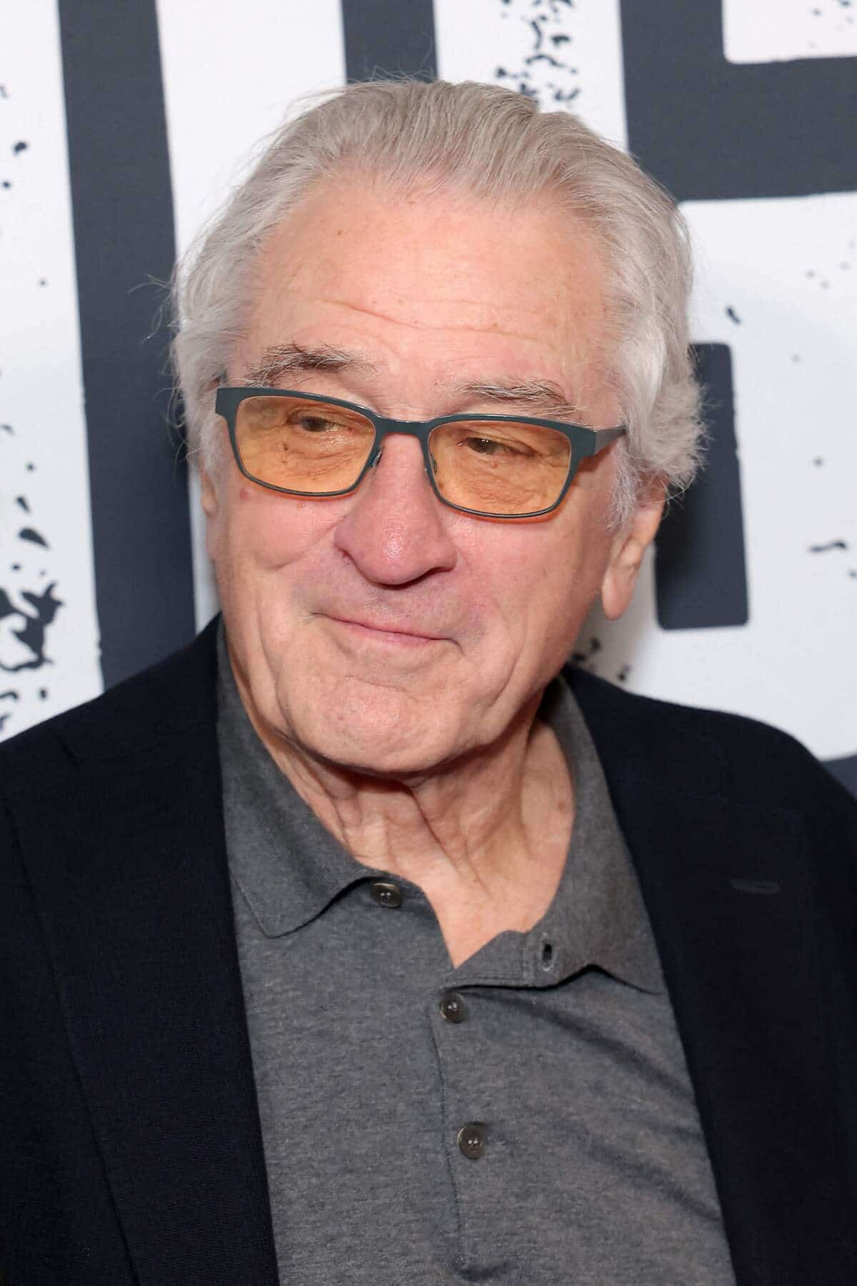 Critique de «Les Alto Knights»: le retour réussi de Robert De Niro à ...