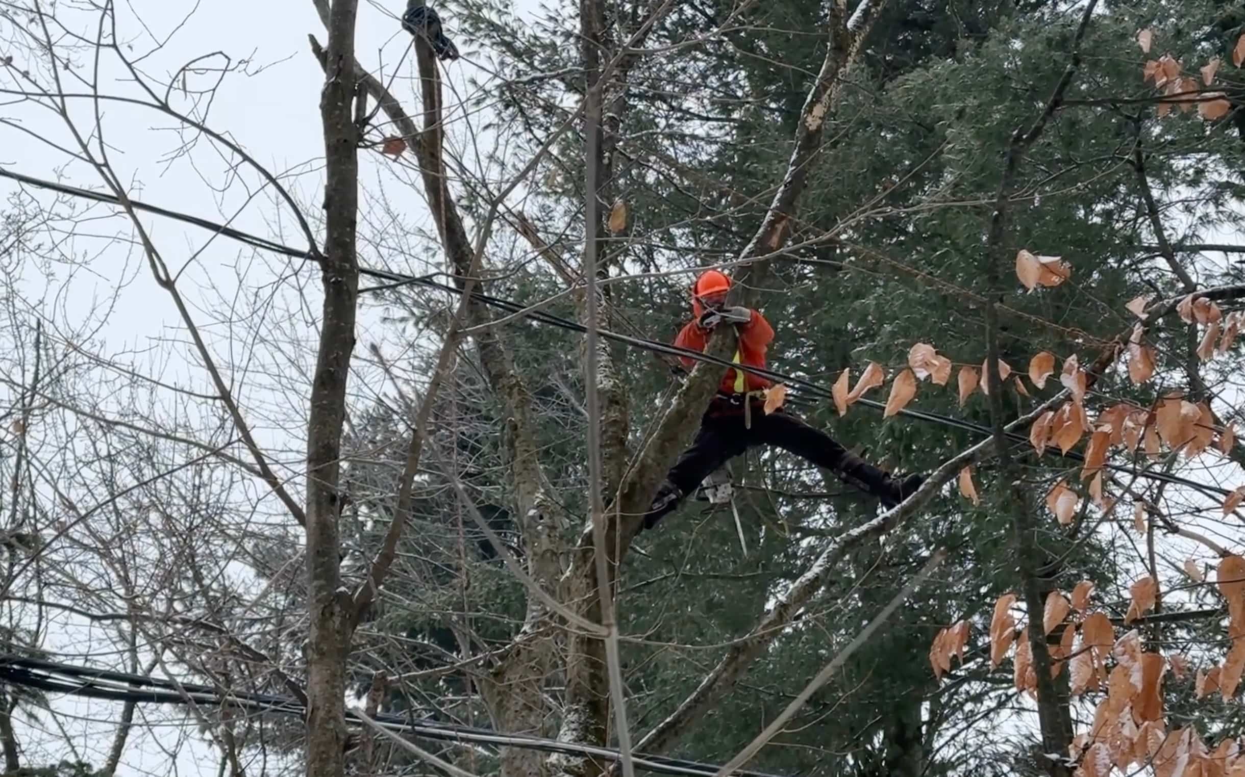 Éviterons-nous d’autres pannes cet hiver? Hydro-Québec met les bouchées ...