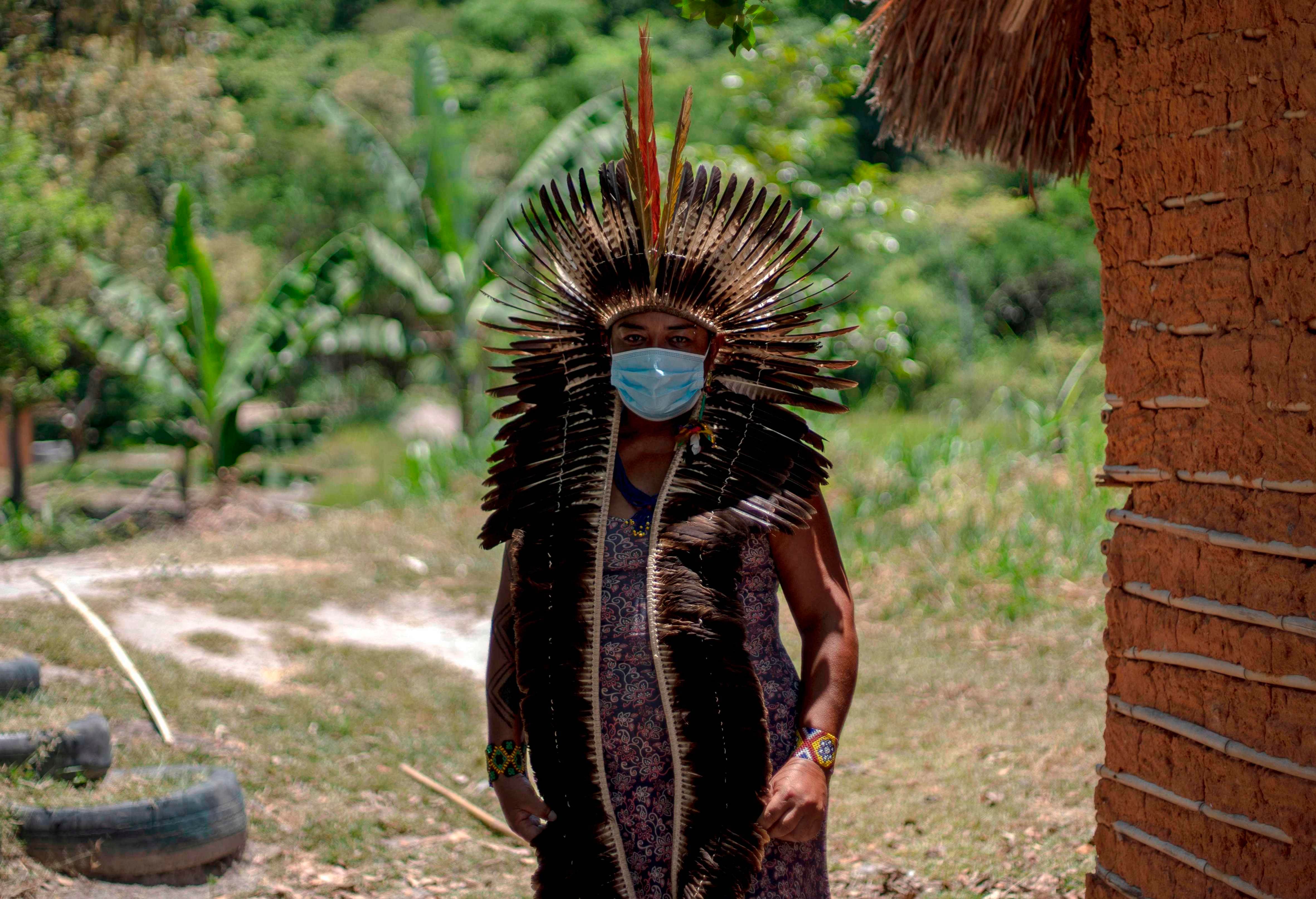 Les peuples indigènes sont les meilleurs gardiens des forêts d’Amérique ...
