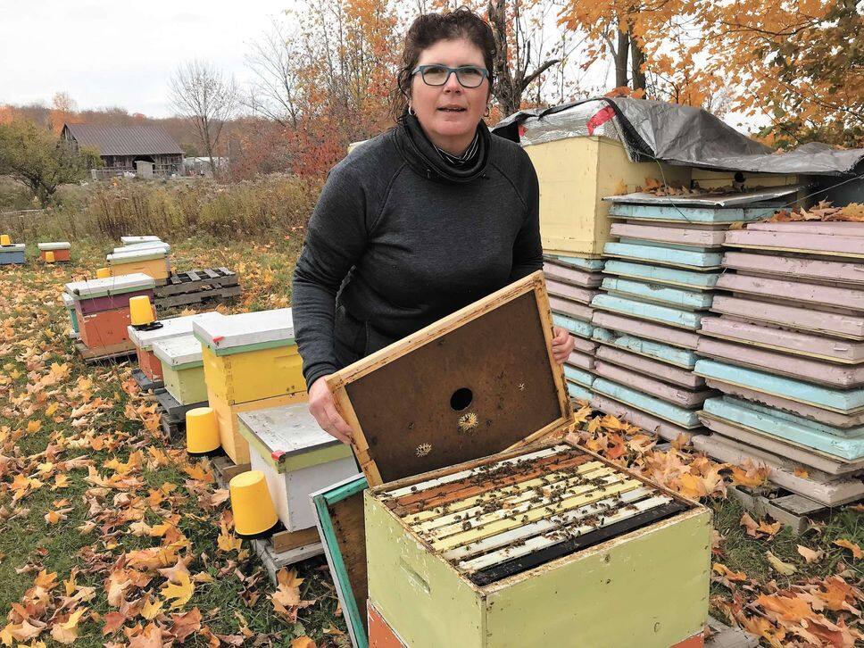 Sauvée par sa passion pour les abeilles | TVA Nouvelles