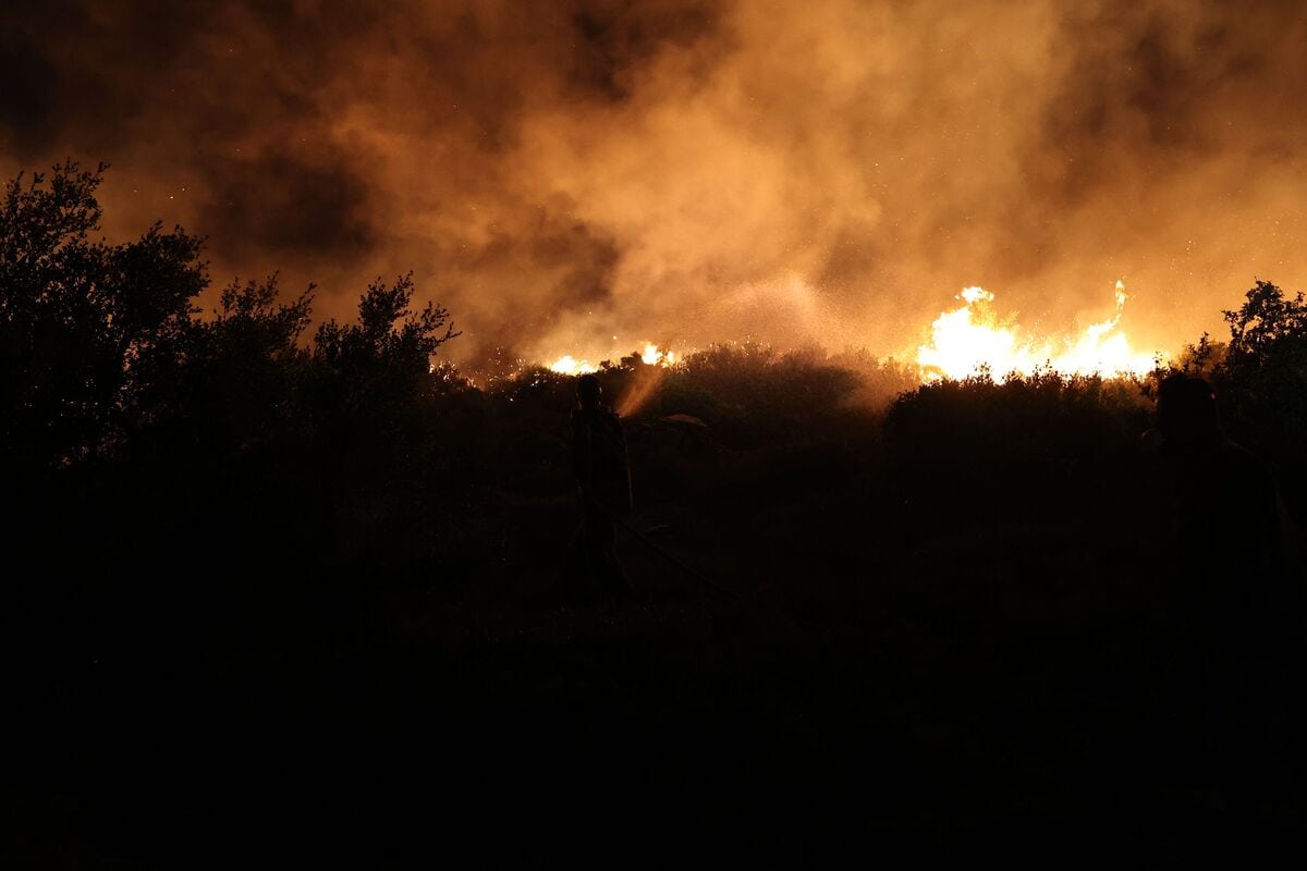 Feux de forêt: un été record de surfaces brûlées en Europe | TVA Nouvelles