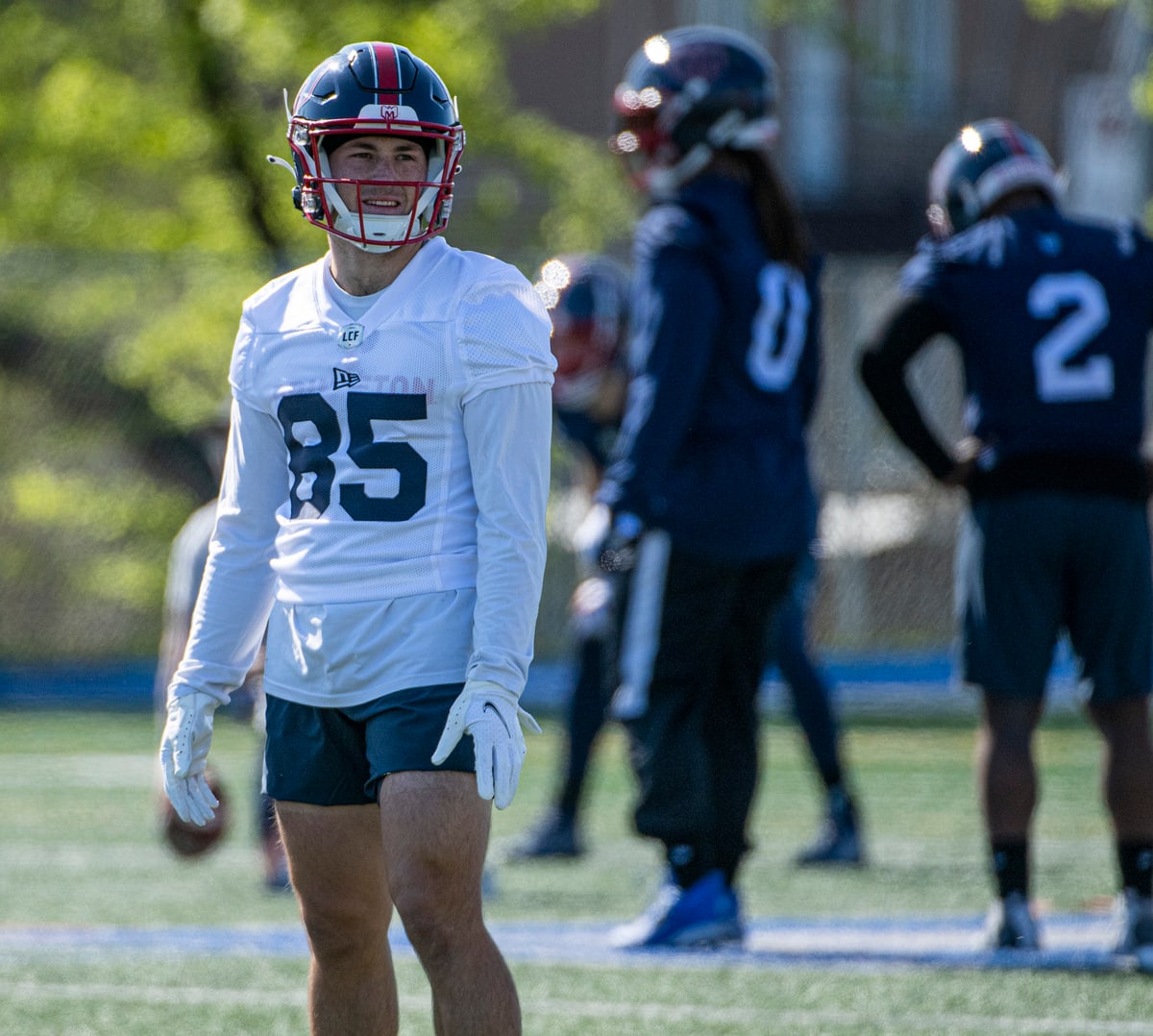 Les Alouettes pourraient miser sur leur propre Cole Caufield | JDQ