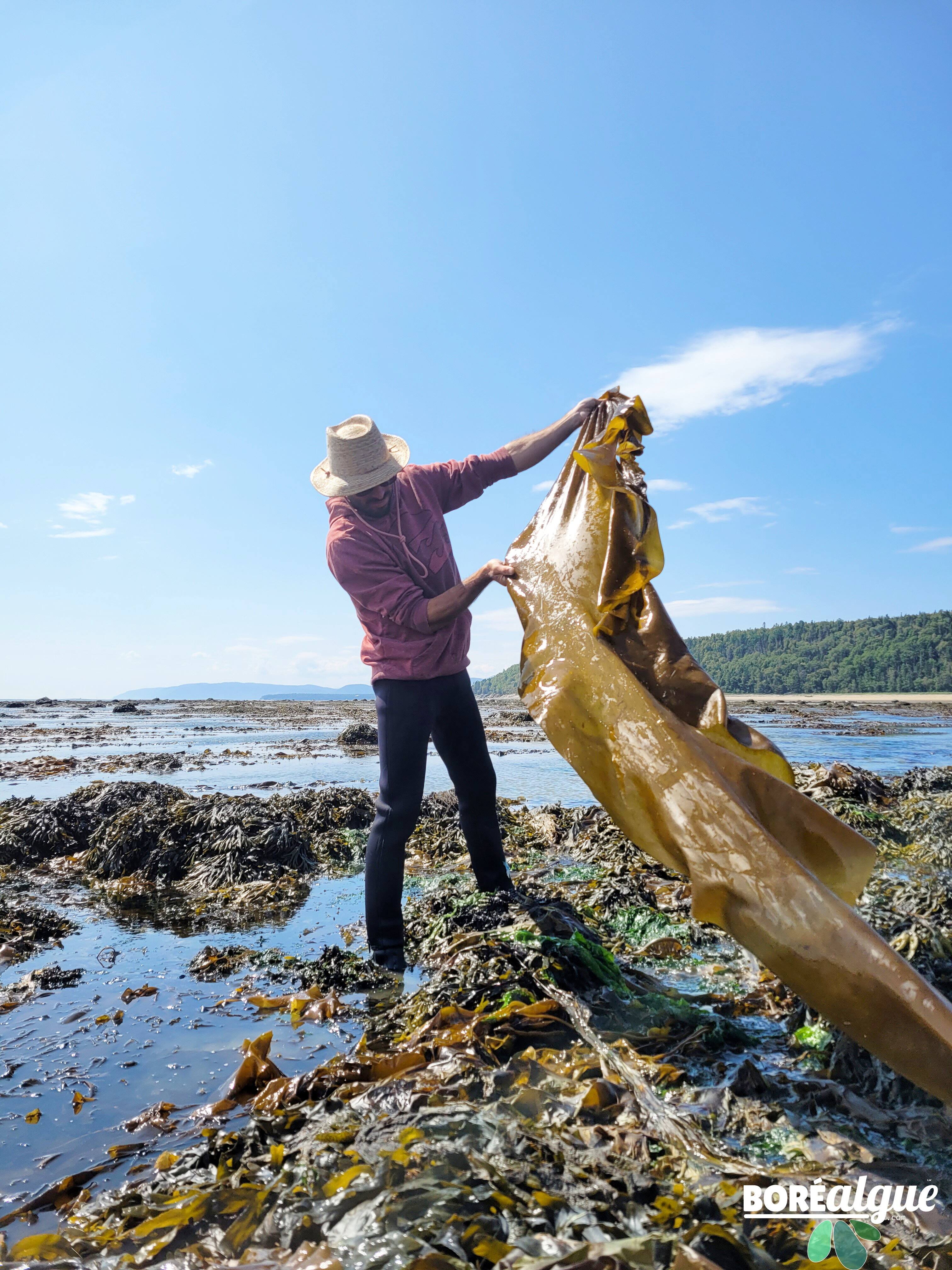 Côte-Nord: Nos coups de cœur entre Tadoussac et Kegaska | JDQ