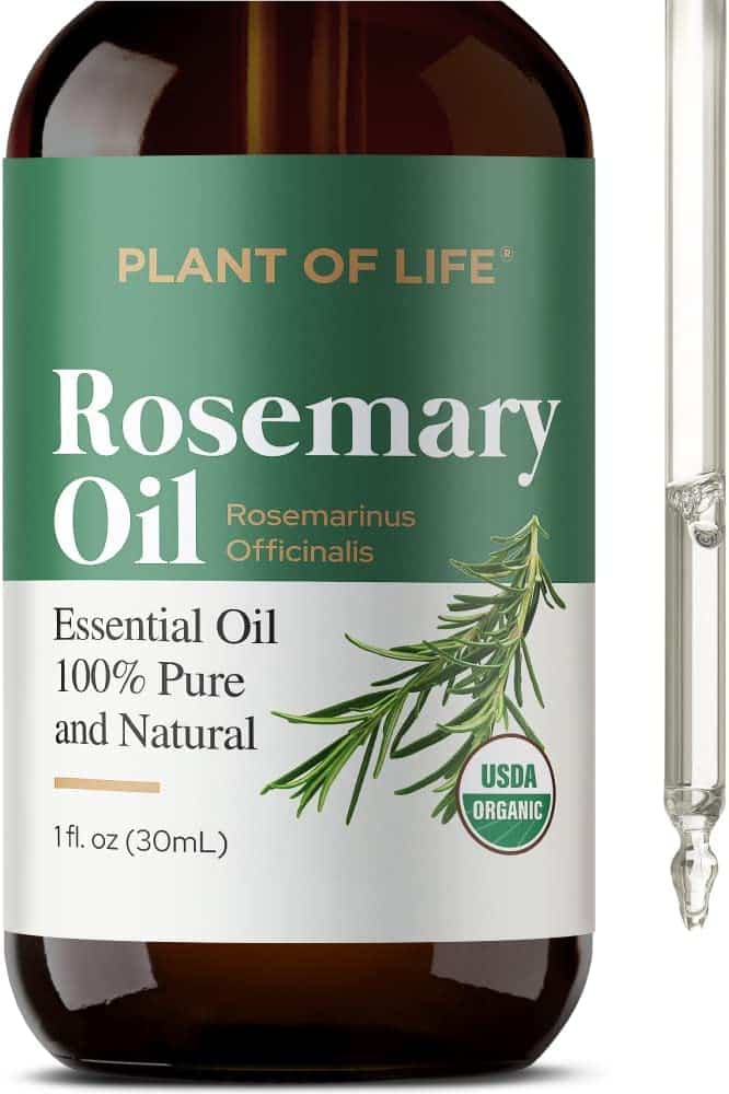 Huile de romarin : le produit miracle pour faire pousser les cheveux ...