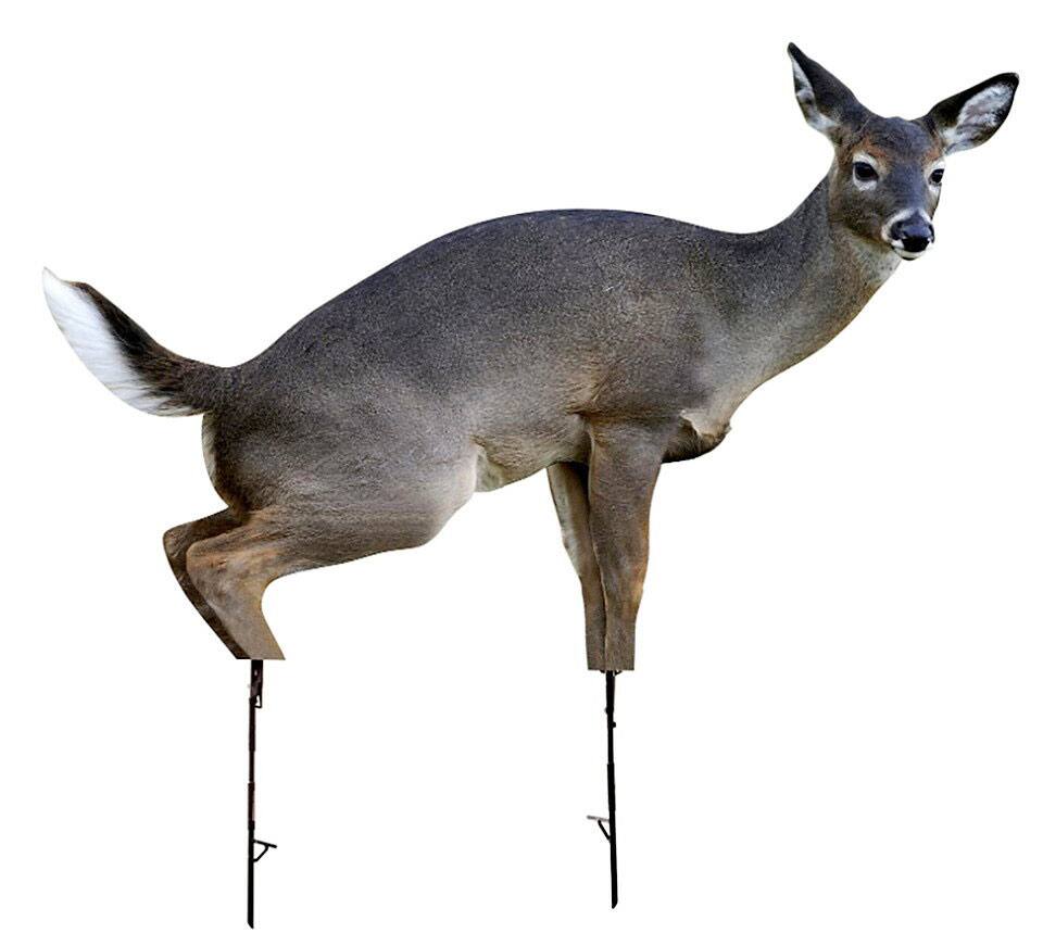 Une approche différente pour faire réagir les chevreuils | JDM