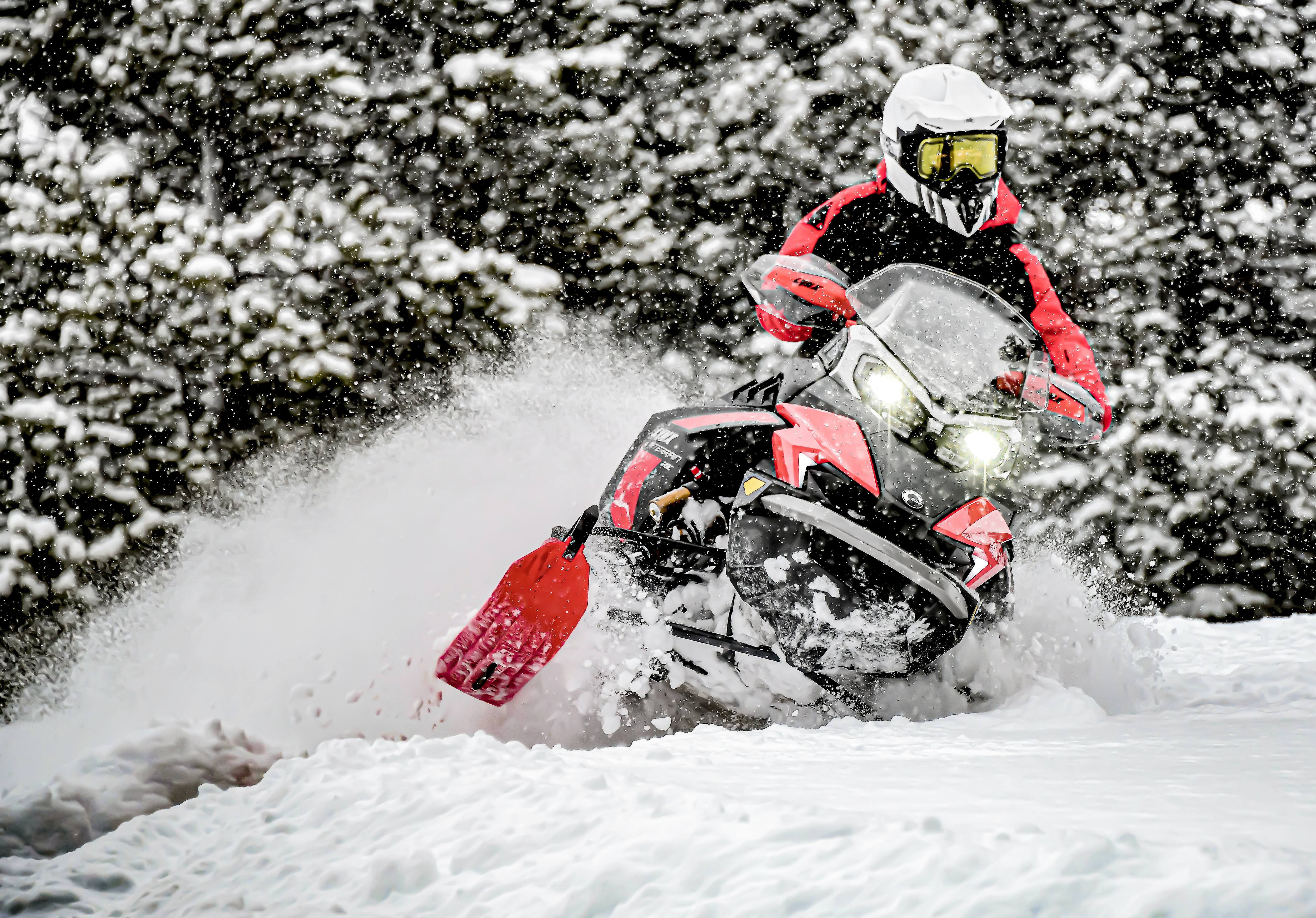 Lynx takes up more space in North America – Archyde