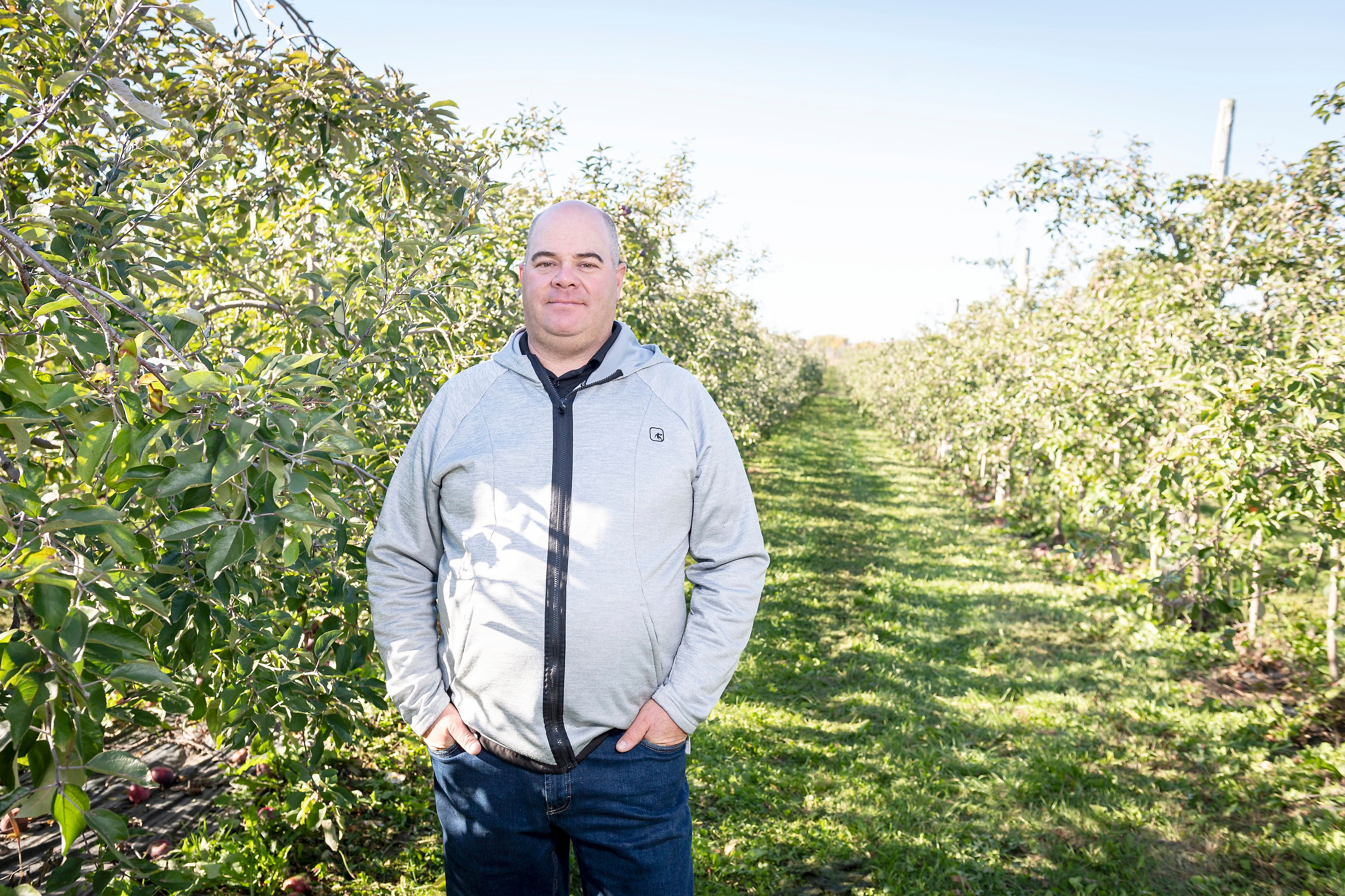Une pomme génétiquement modifiée pourrait être cultivée au Québec, mais ...