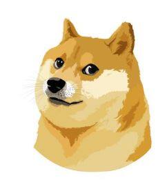 Logo de Twitter: de «Twit-en-chef» à «Doge-en-chef» | TVA Nouvelles