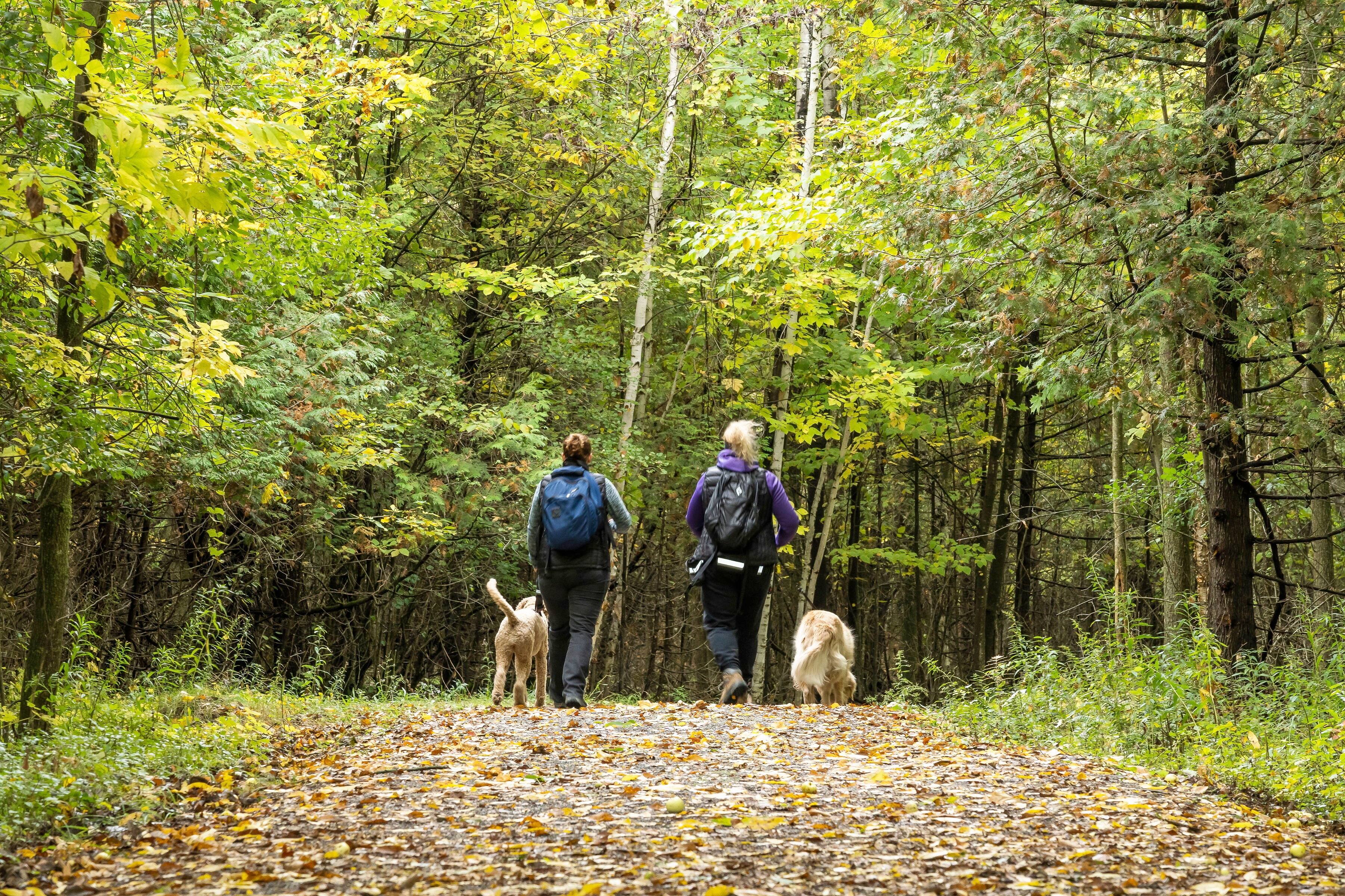 Découvrir les alentours du chemin Roxham | JDM