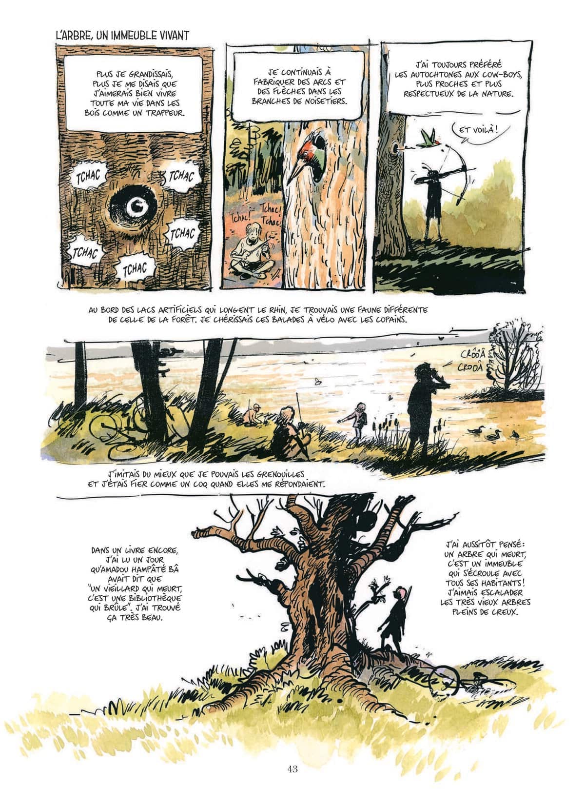 Le best-seller de Peter Wohlleben, «La vie secrète des arbres», adapté ...