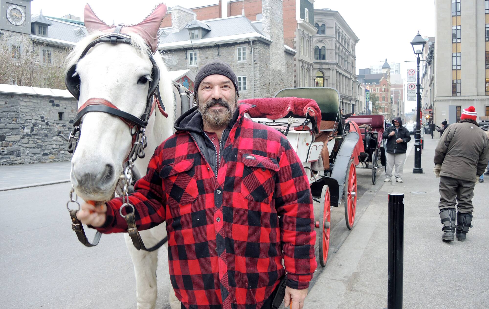 Le roi des calèches poursuit Montréal | JDM