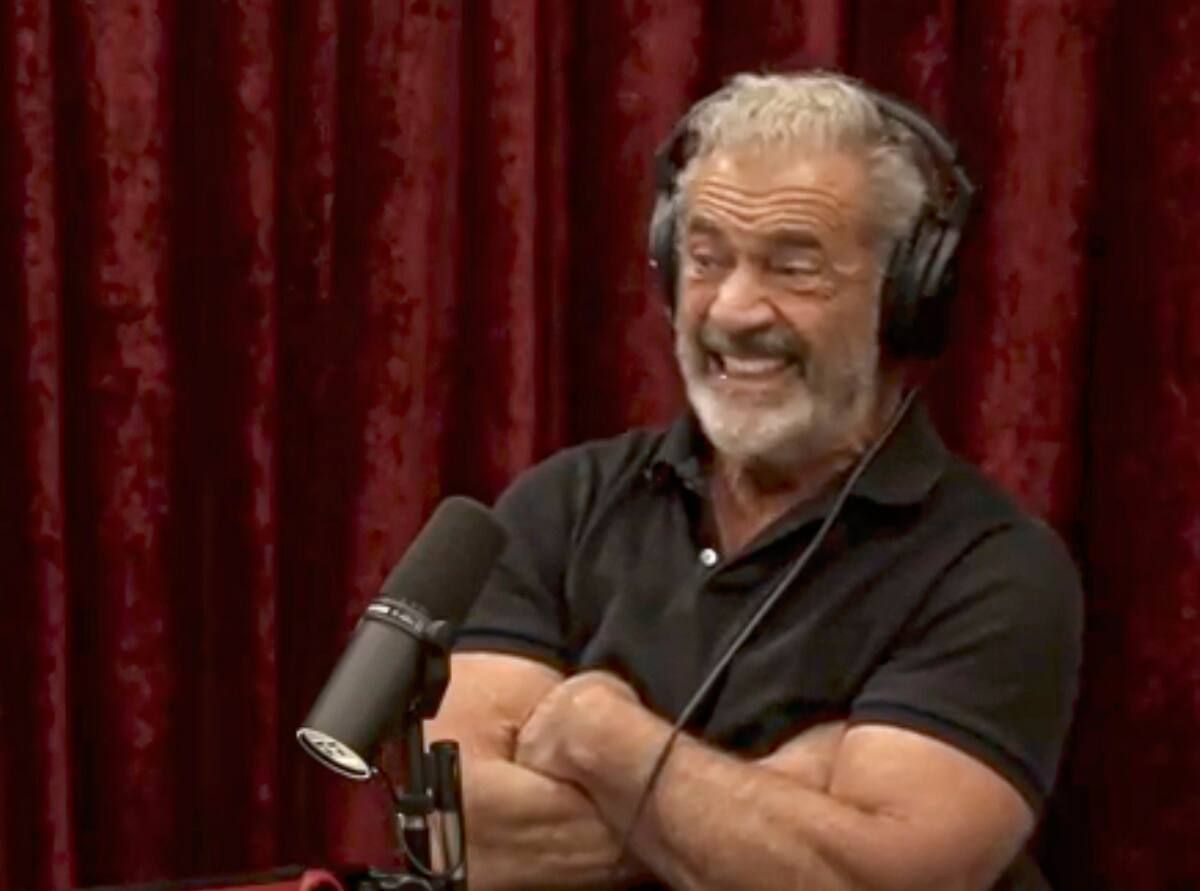 [VIDÉO] Controverse de l’acteur Mel Gibson: l’ivermectine, un faux remède contre le cancer ...
