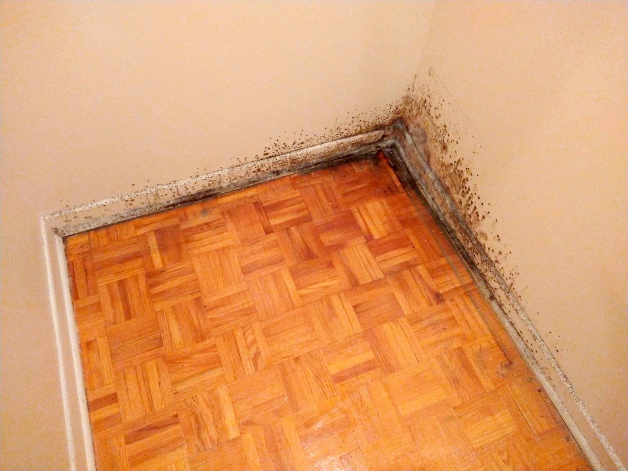 Voici le géant de l’immobilier qui engorge le plus le Tribunal ...
