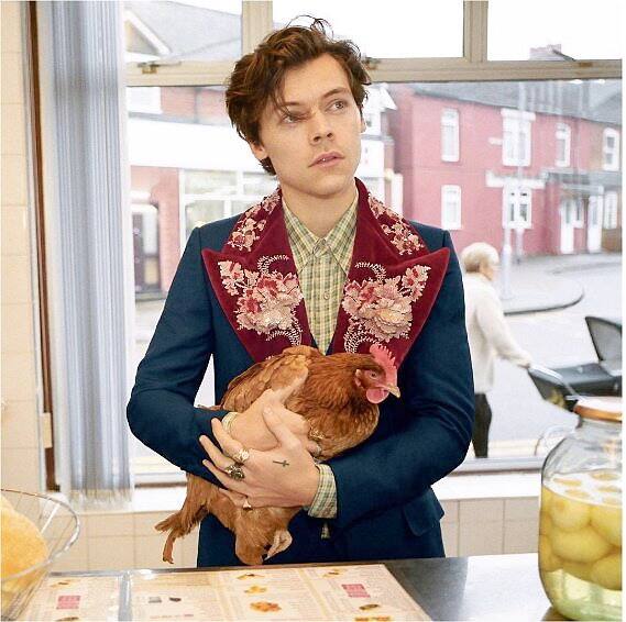 Biographie illustrée de Harry Styles : tout savoir sur sa carrière, ses ...