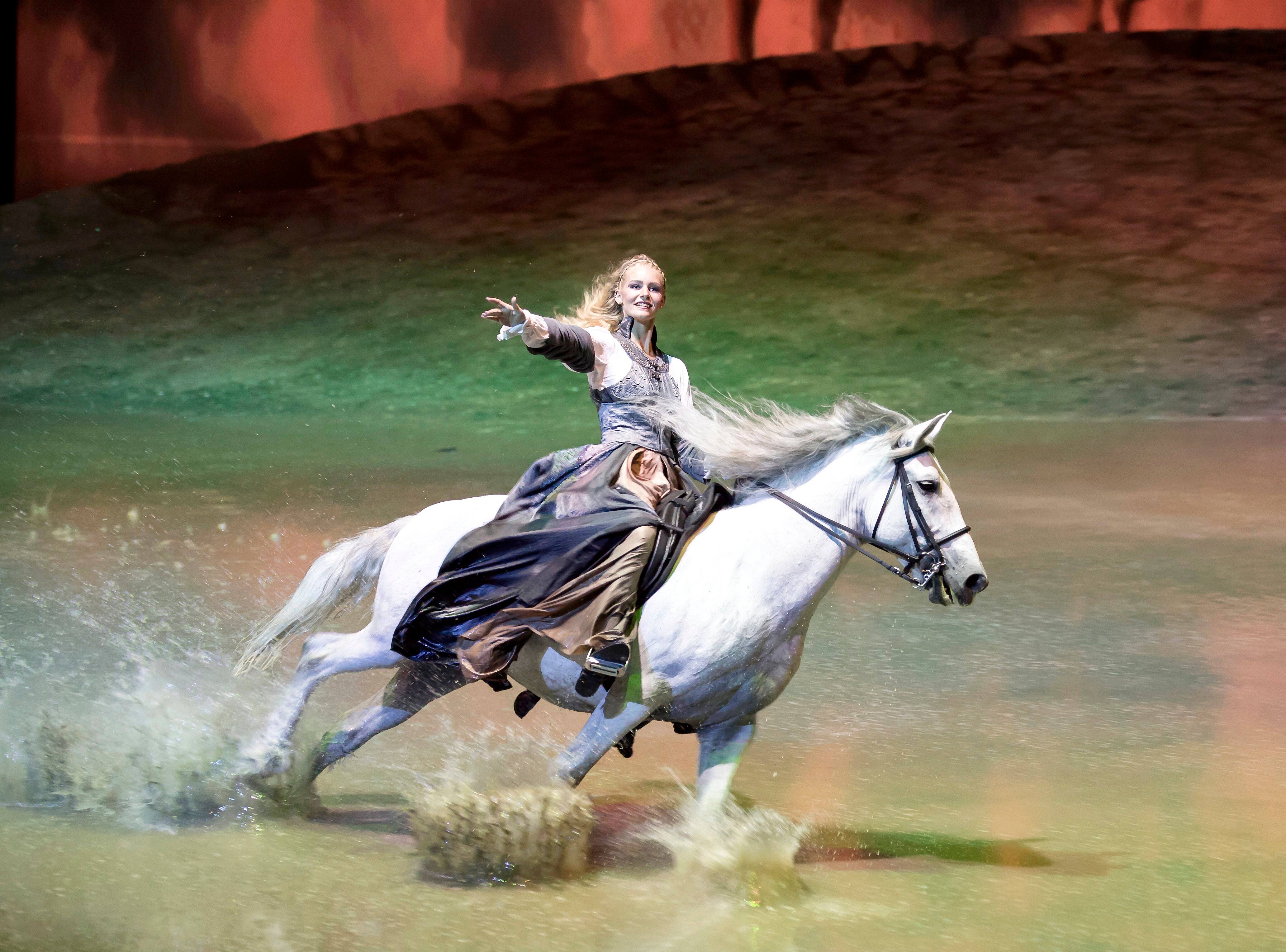 «Insolvable», Cavalia est menacée de se faire liquider ses biens | JDQ