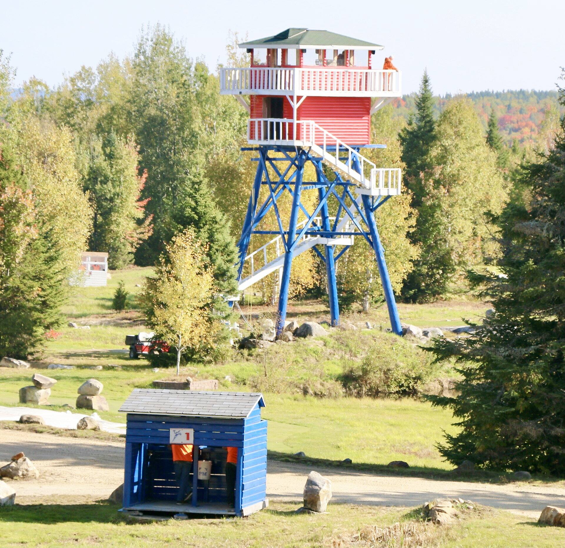 Une chasse au faisan facile et dans des conditions idéales | JDQ