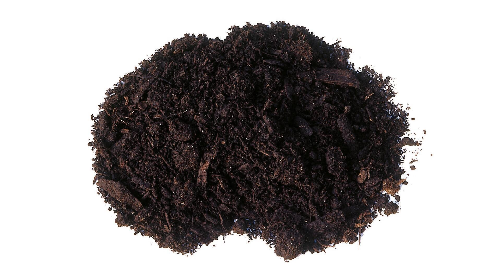 Amender sa terre avec du compost: lequel choisir et quand l’ajouter | JDM