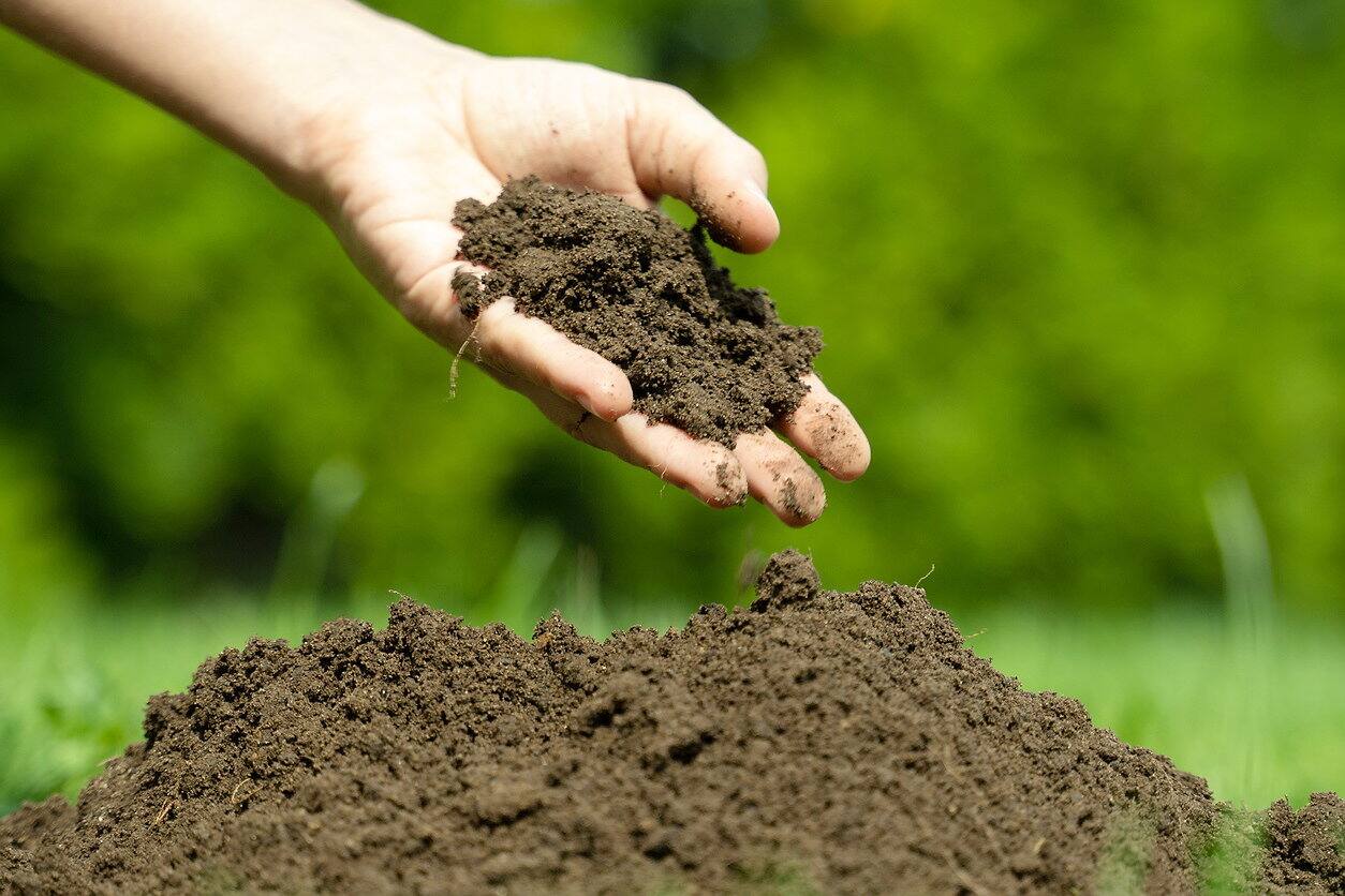 Amender sa terre avec du compost: lequel choisir et quand l’ajouter | JDM