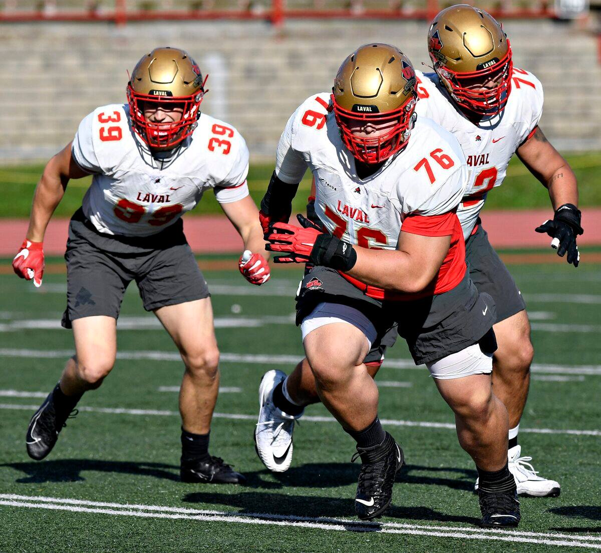 RSEQ, Football Universitaire Québecois | Infos, Stats & Vidéos - TVA Sports
