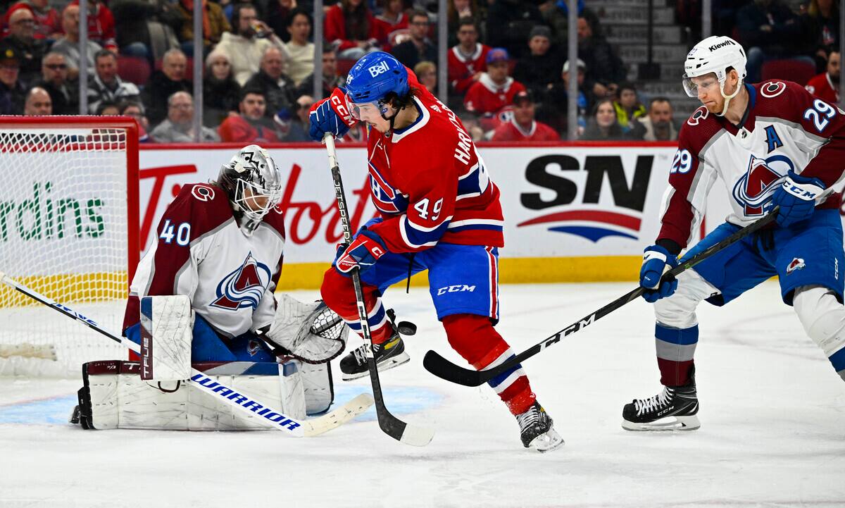 «Il est comme le lapin Energizer»: le succès de Rafaël Harvey-Pinard ne ...