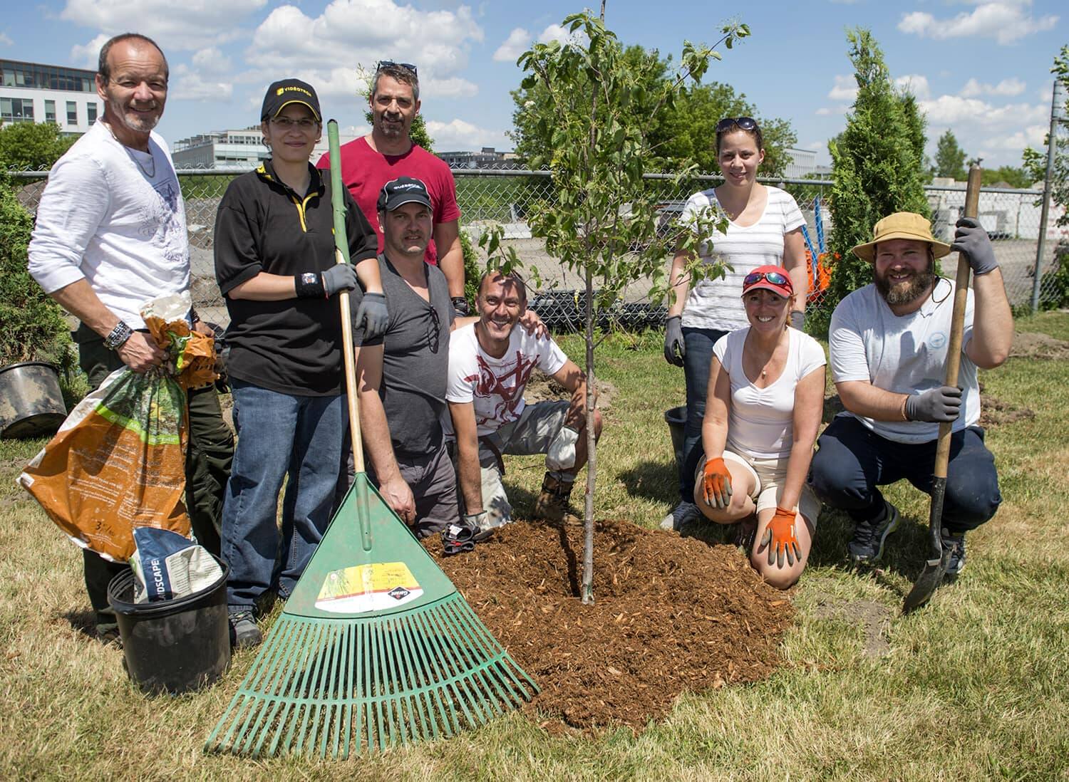 Le Journal de Montréal plante 100 nouveaux arbres | JDM