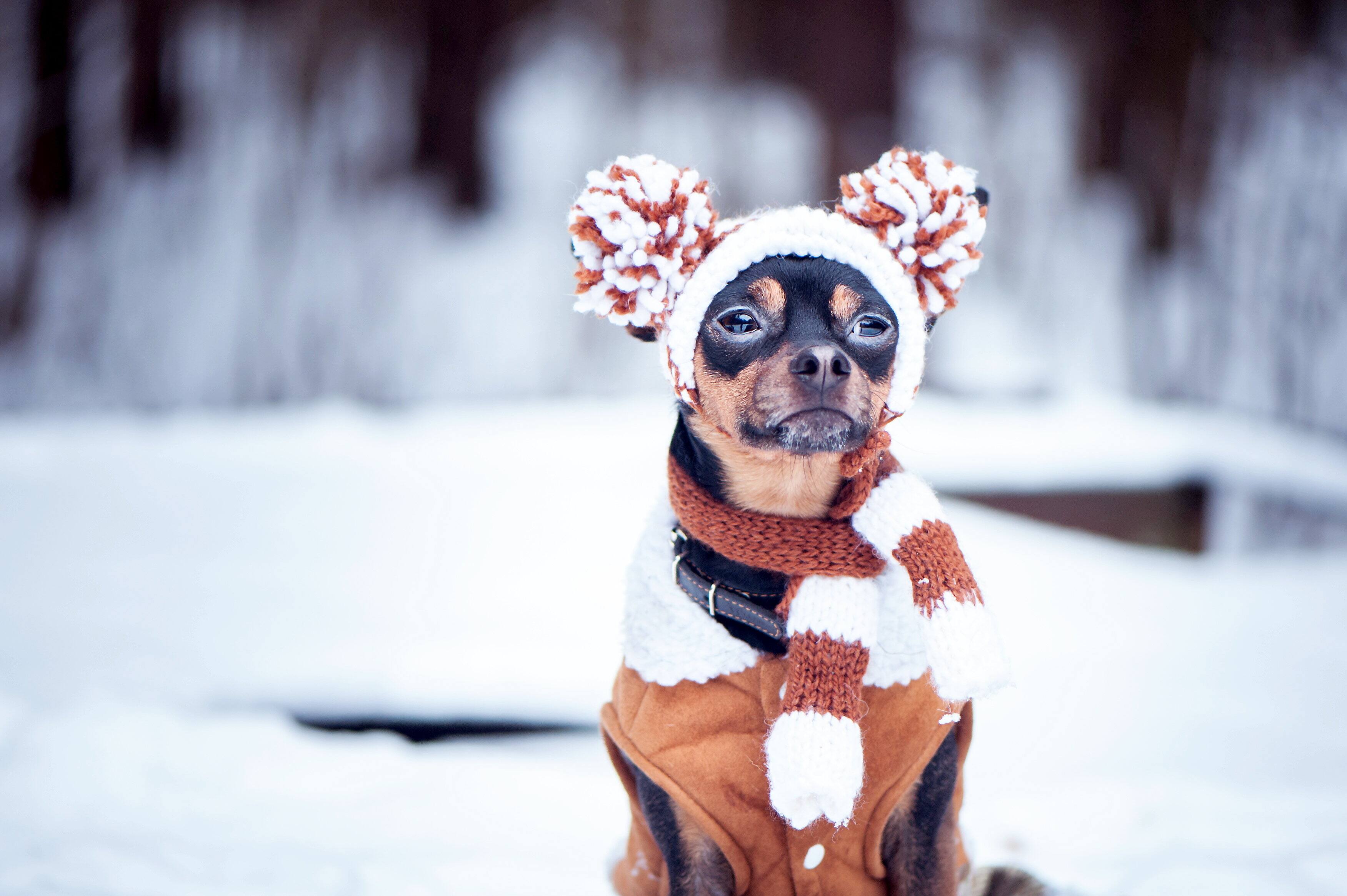 Engelures: comment les prévenir ou les soigner | JDM