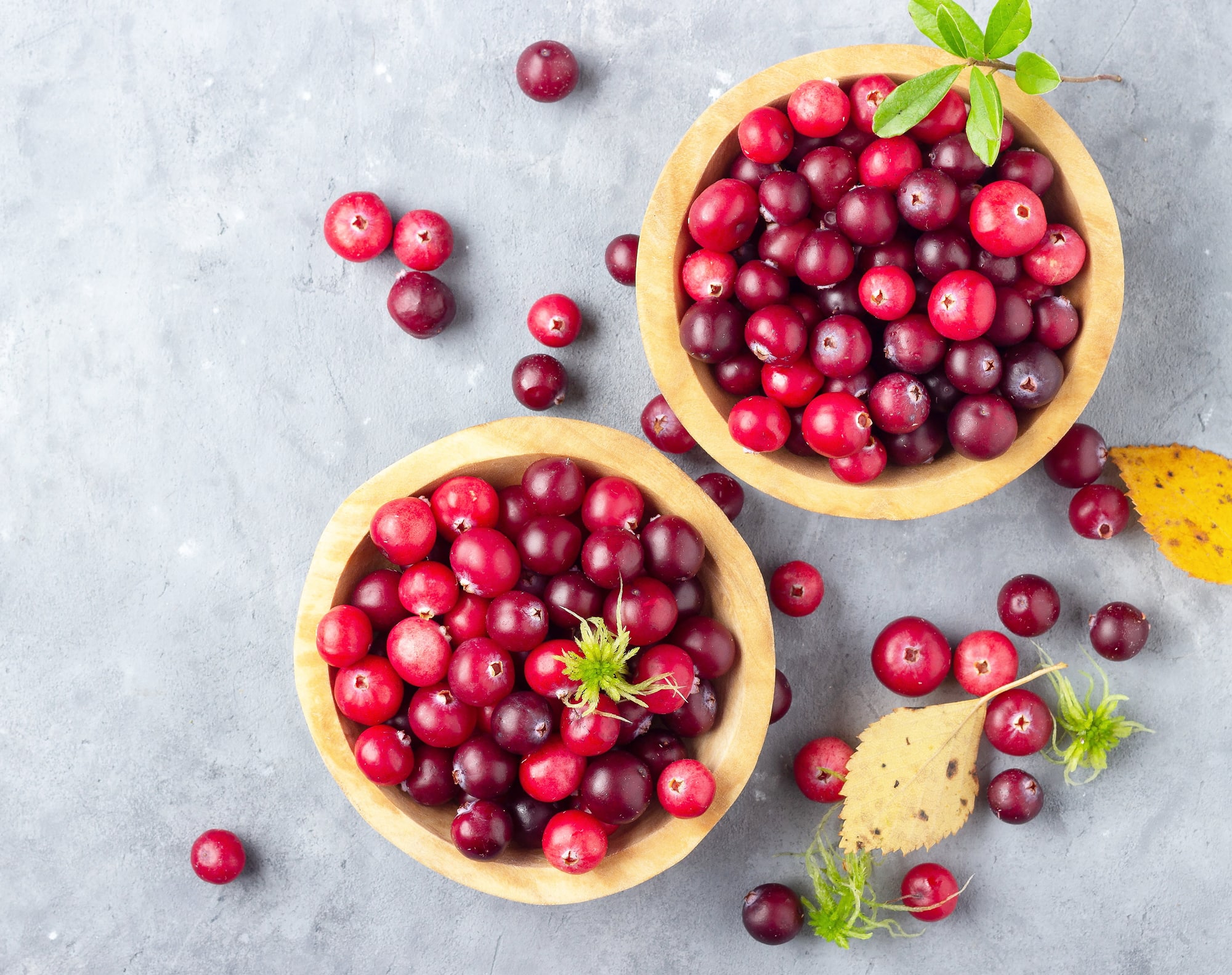 Pain, beignet et confiture de canneberges: 3 recettes pour cuisiner ce ...