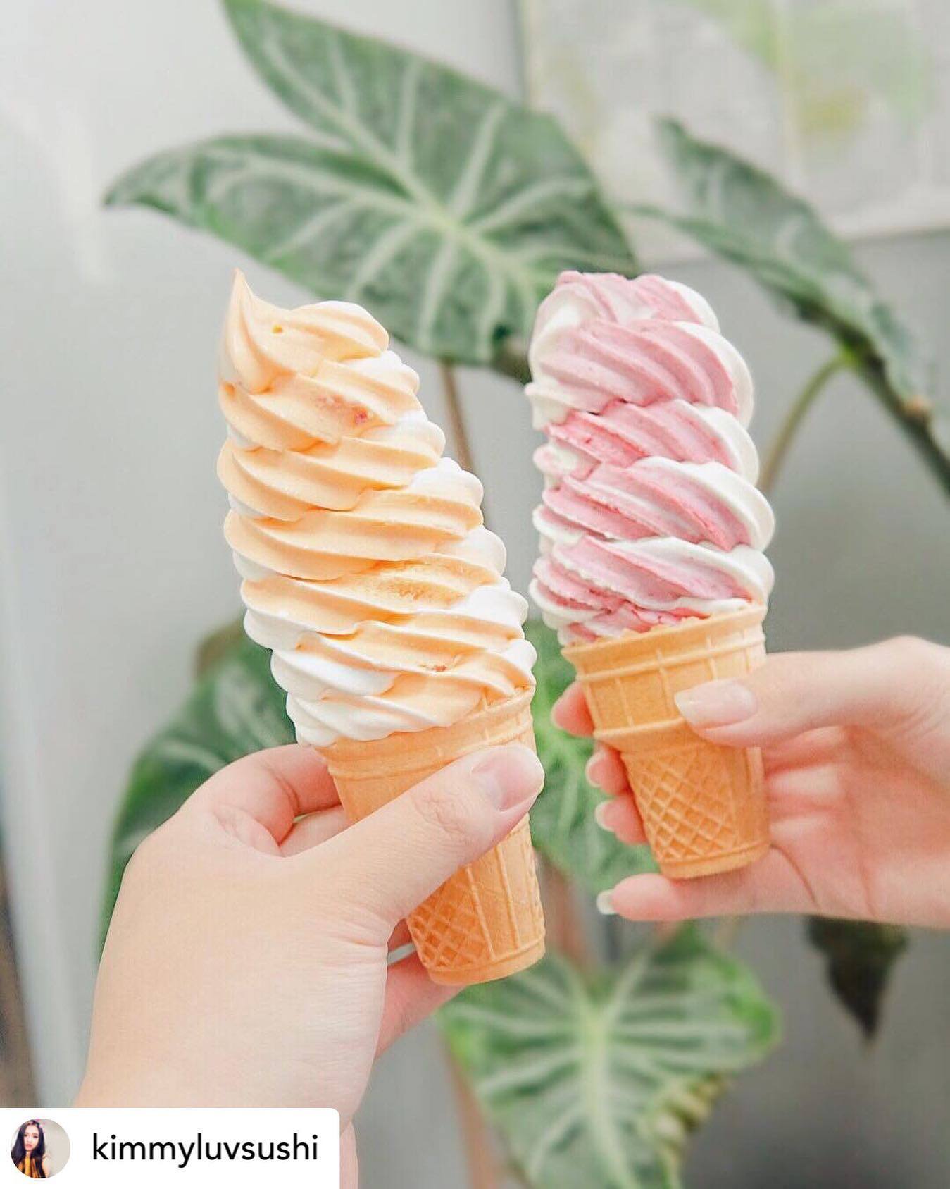 TOP : 10 meilleures crémeries au Québec | Salut Bonjour