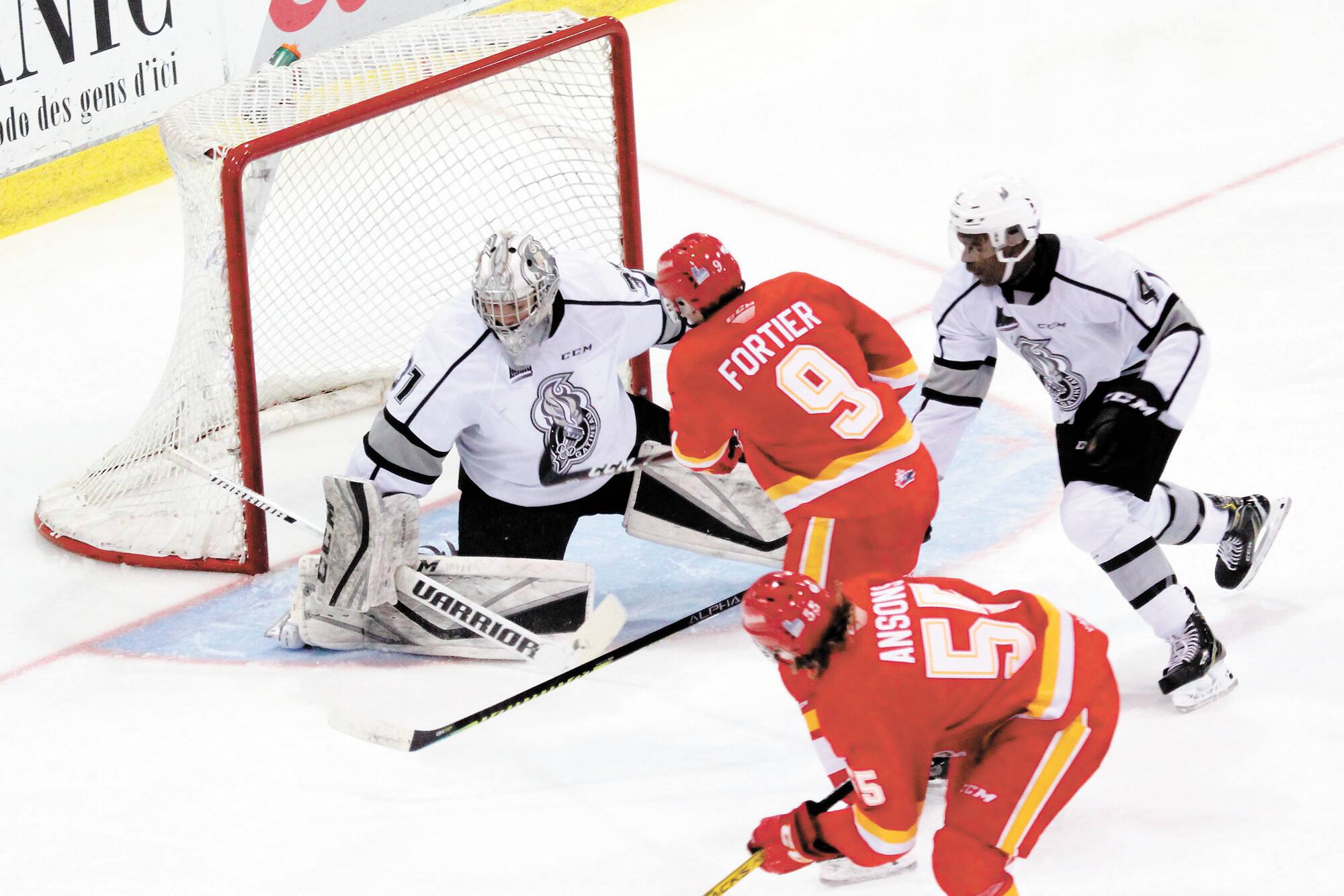 Gabriel Fortier sonne la charge pour le Drakkar | JDQ