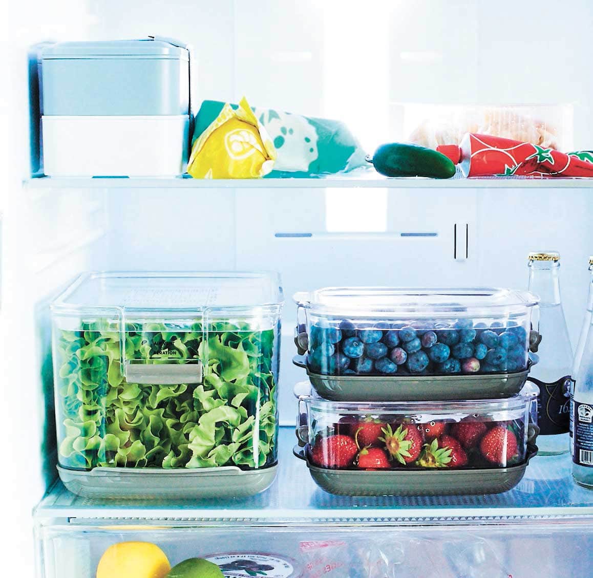 Accessoires de cuisine: Dans les contenants, les meilleurs restants! | JDQ