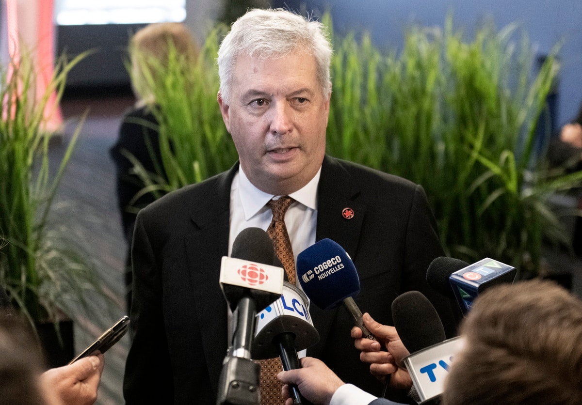 Air Canada devra s'assurer que Michael Rousseau apprenne le français ...