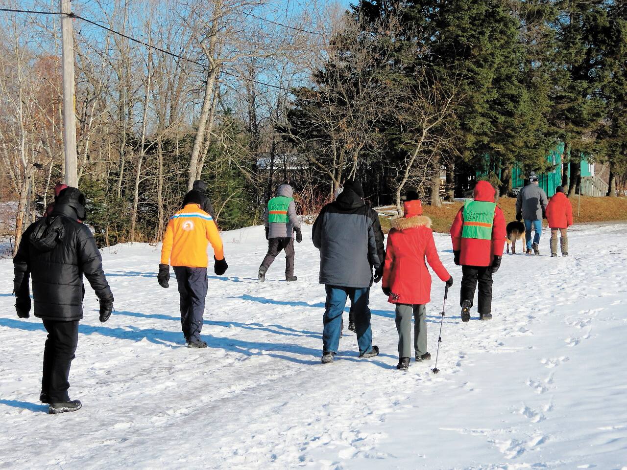 Marche hivernale | Le Journal de Québec