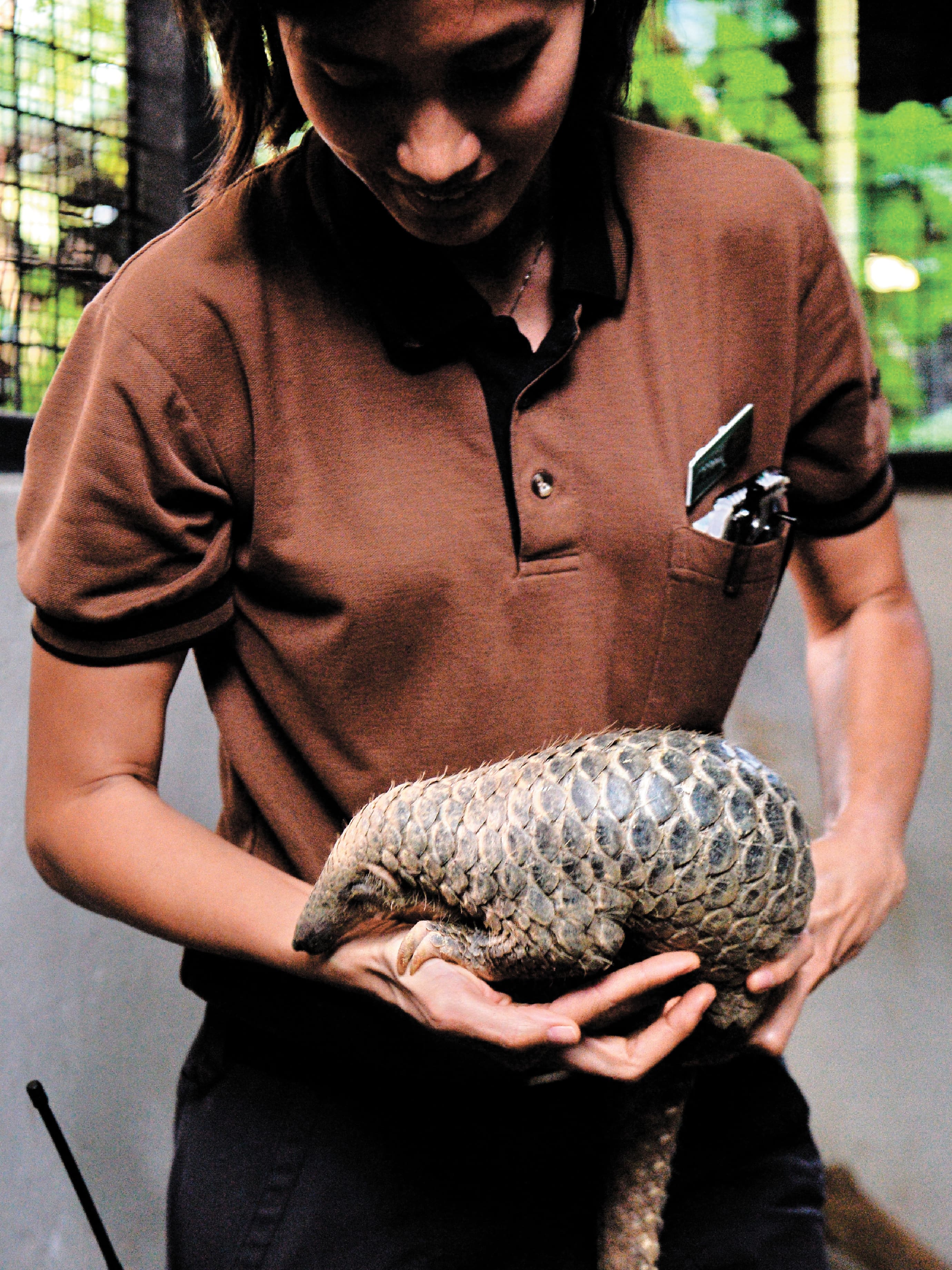 La poudre de perlimpinpin | Le Journal de Québec